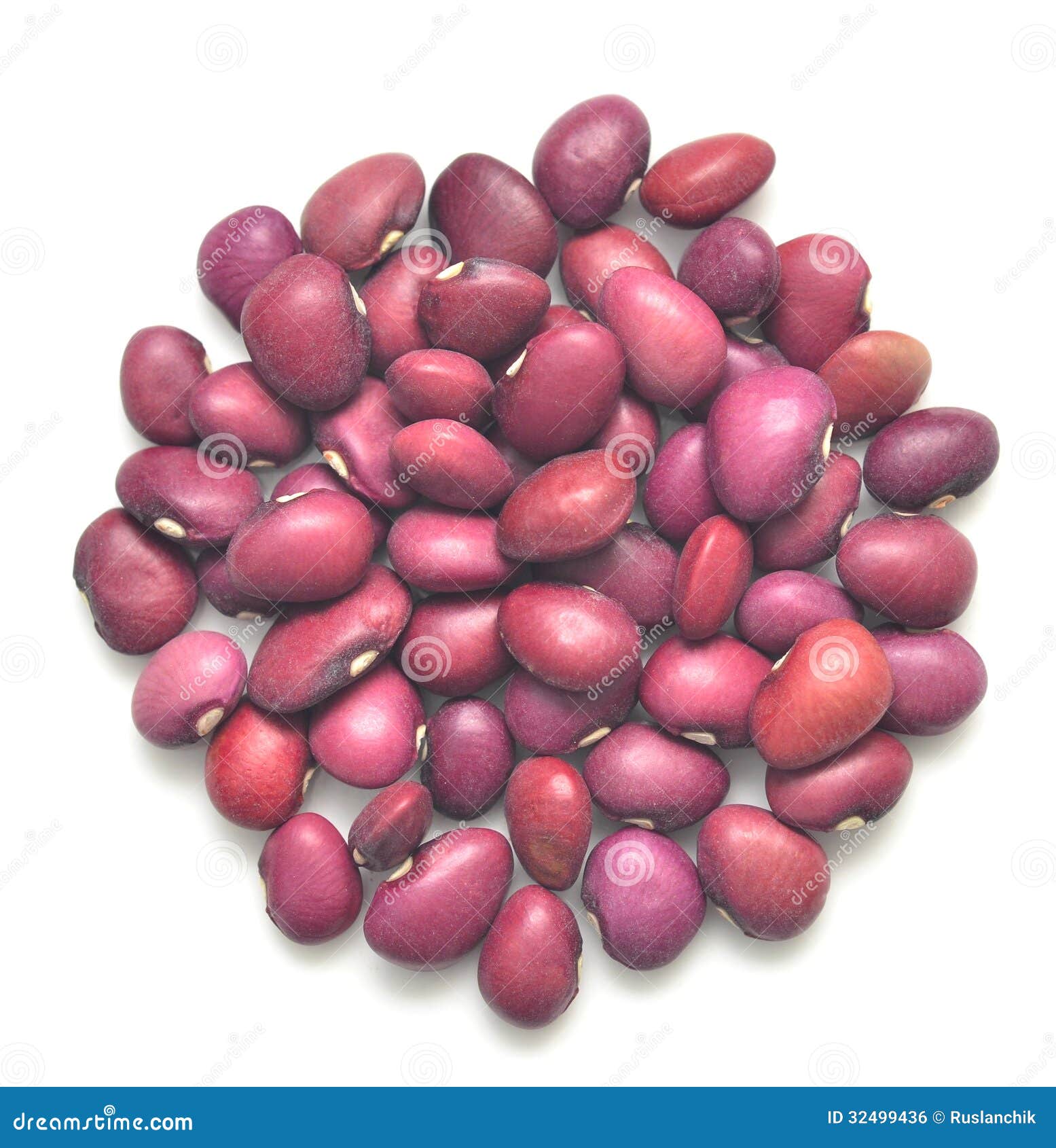 Kidney stock photo. Image of detail, plant, food, pink - 32499436