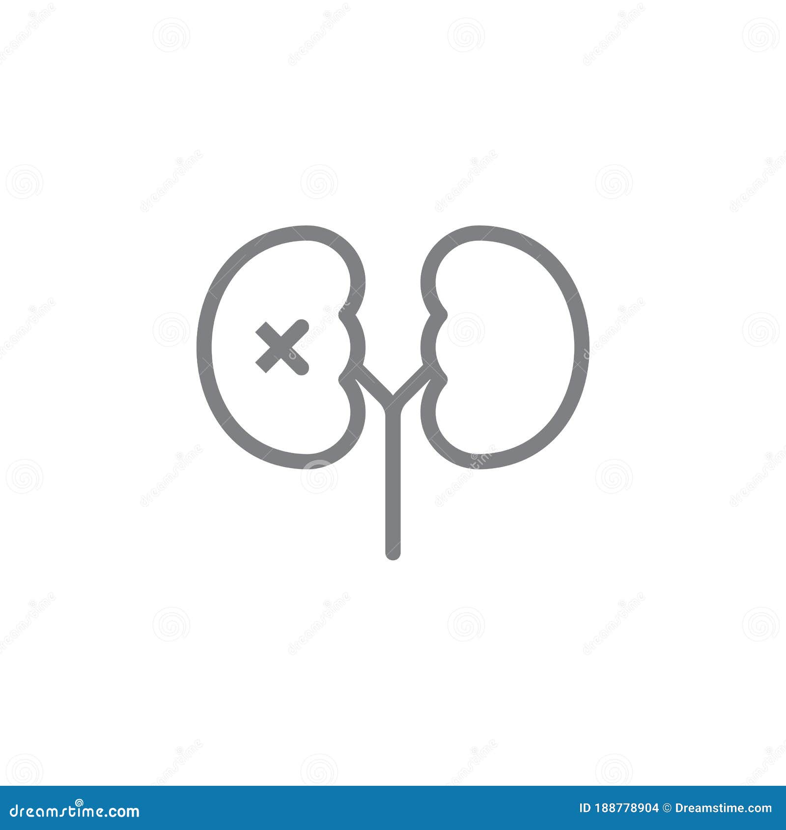 Kidney Line Icon, Anatomy And Biology, Urology Cartoon Vector ...