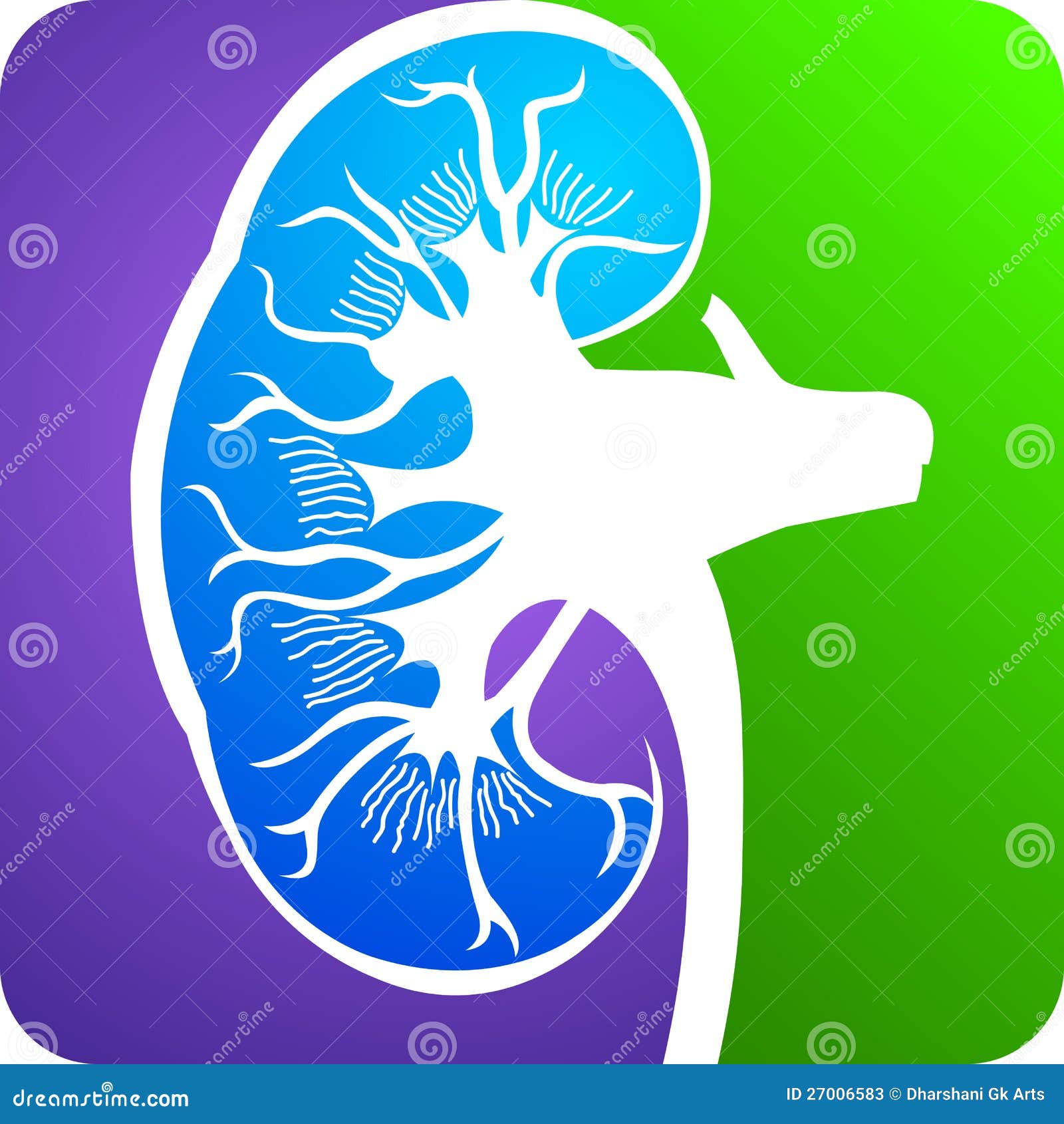 Kidney Logo Vector Illustration | CartoonDealer.com #25889034