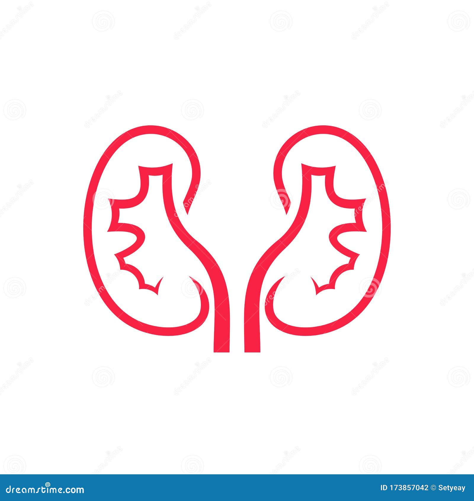 Kidney Logo Design Inspiration Template Vector Stock Vector ...