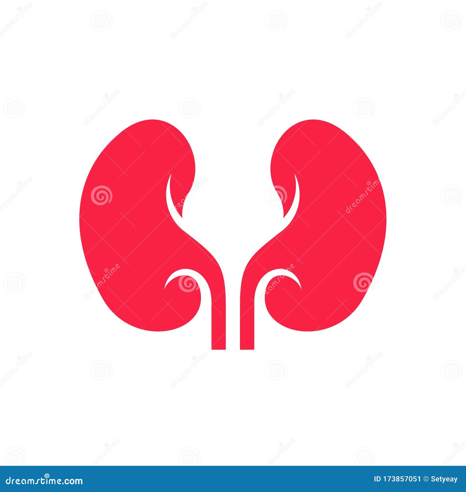 Kidney Logo Design Inspiration Template Vector Stock Vector ...