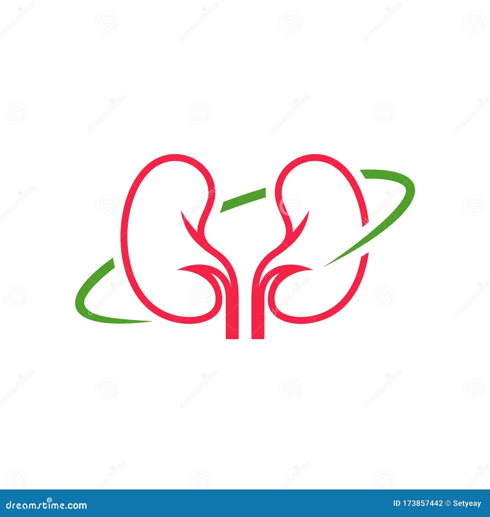 Kidney Logo Design Inspiration Template Vector Stock Vector ...