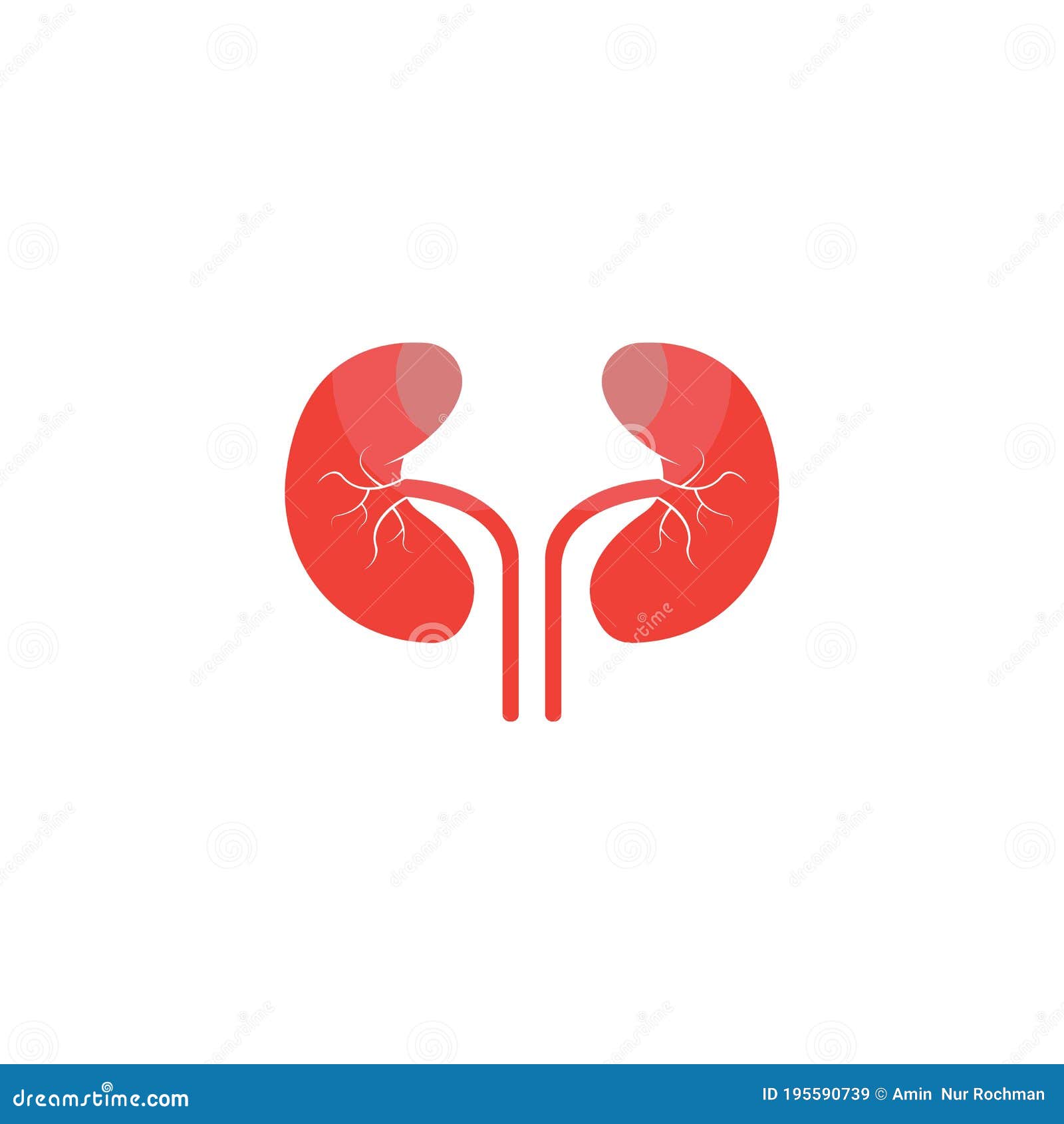 Kidney logo vector stock vector. Illustration of color - 195590739