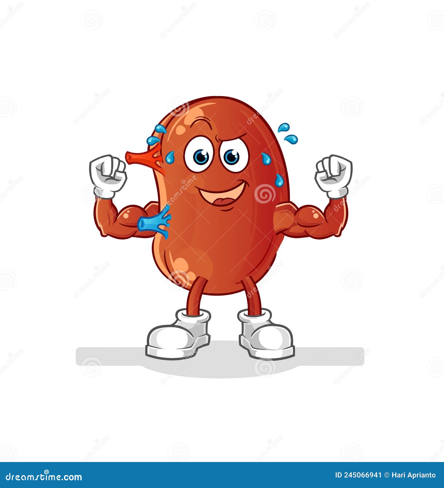 Cartoon Kidney