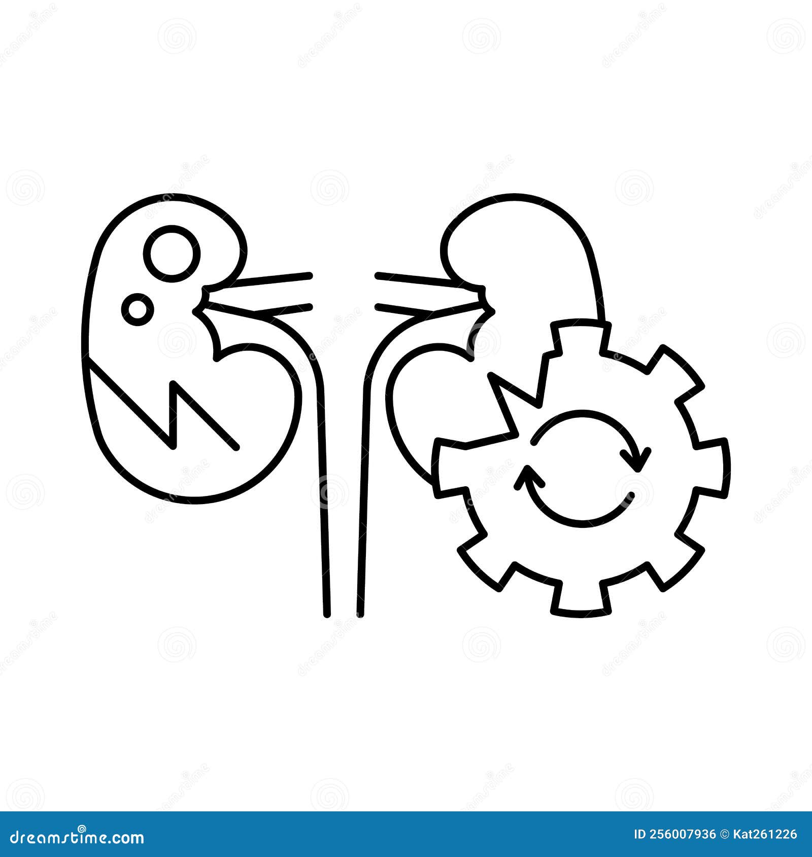 Man Metabolism Line Icon. Male Good Digestion Linear Pictogram. Belly ...
