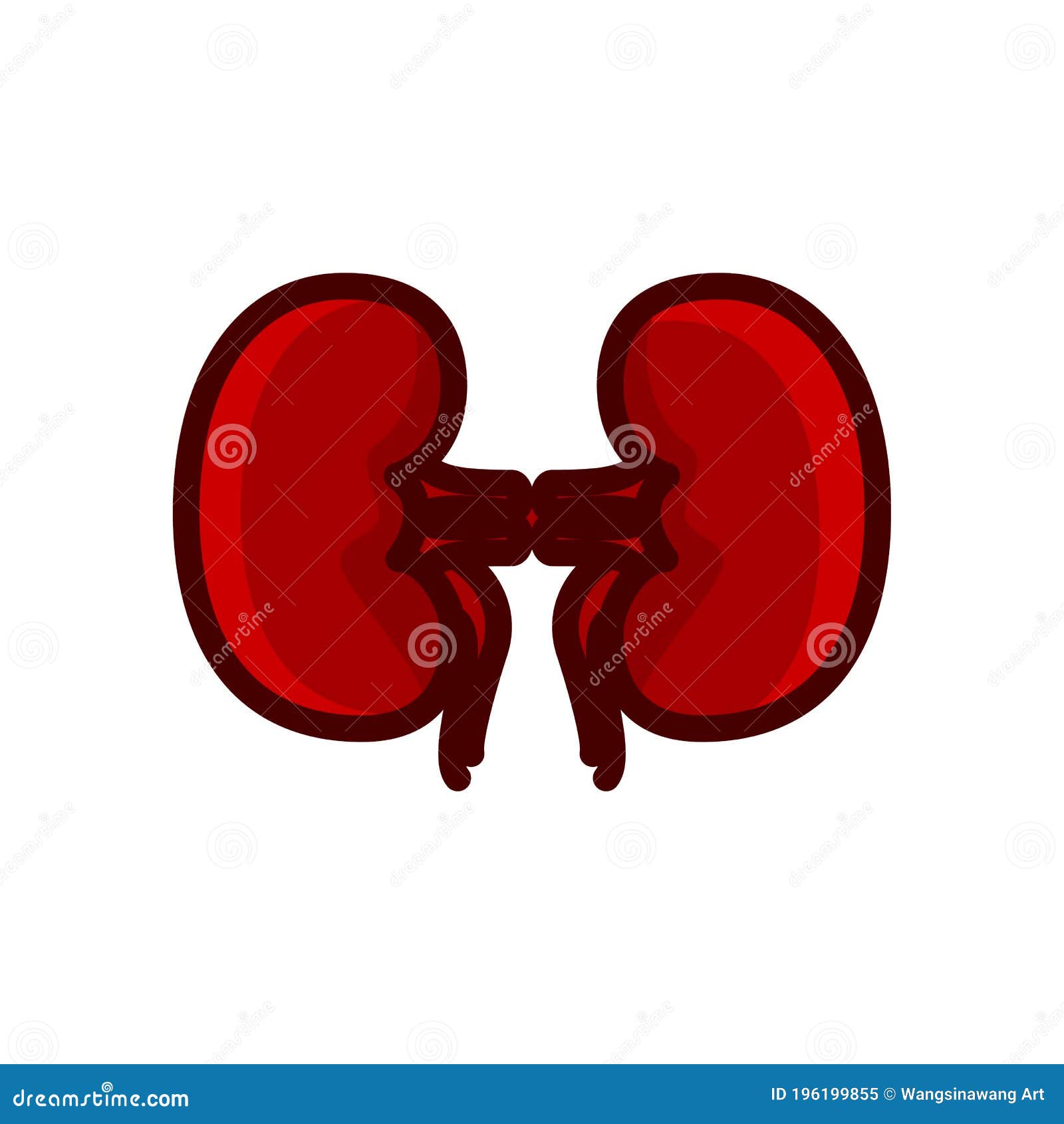 Kidney Red Icon Vector Illustration Isolated on White Background Stock ...