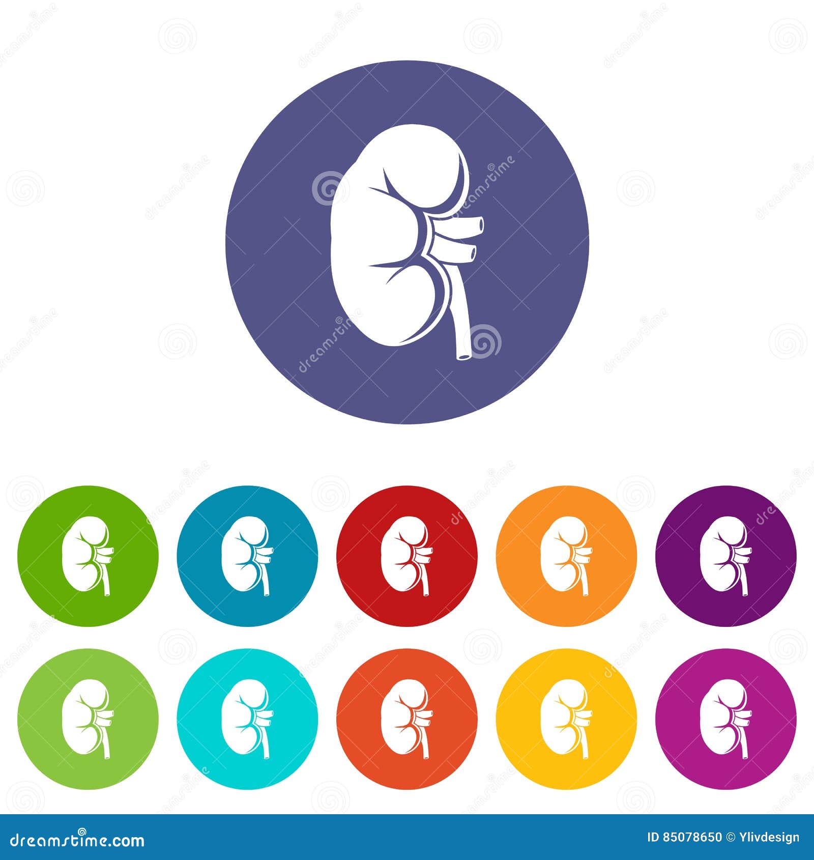 Kidney set icons stock vector. Illustration of disease - 85078650