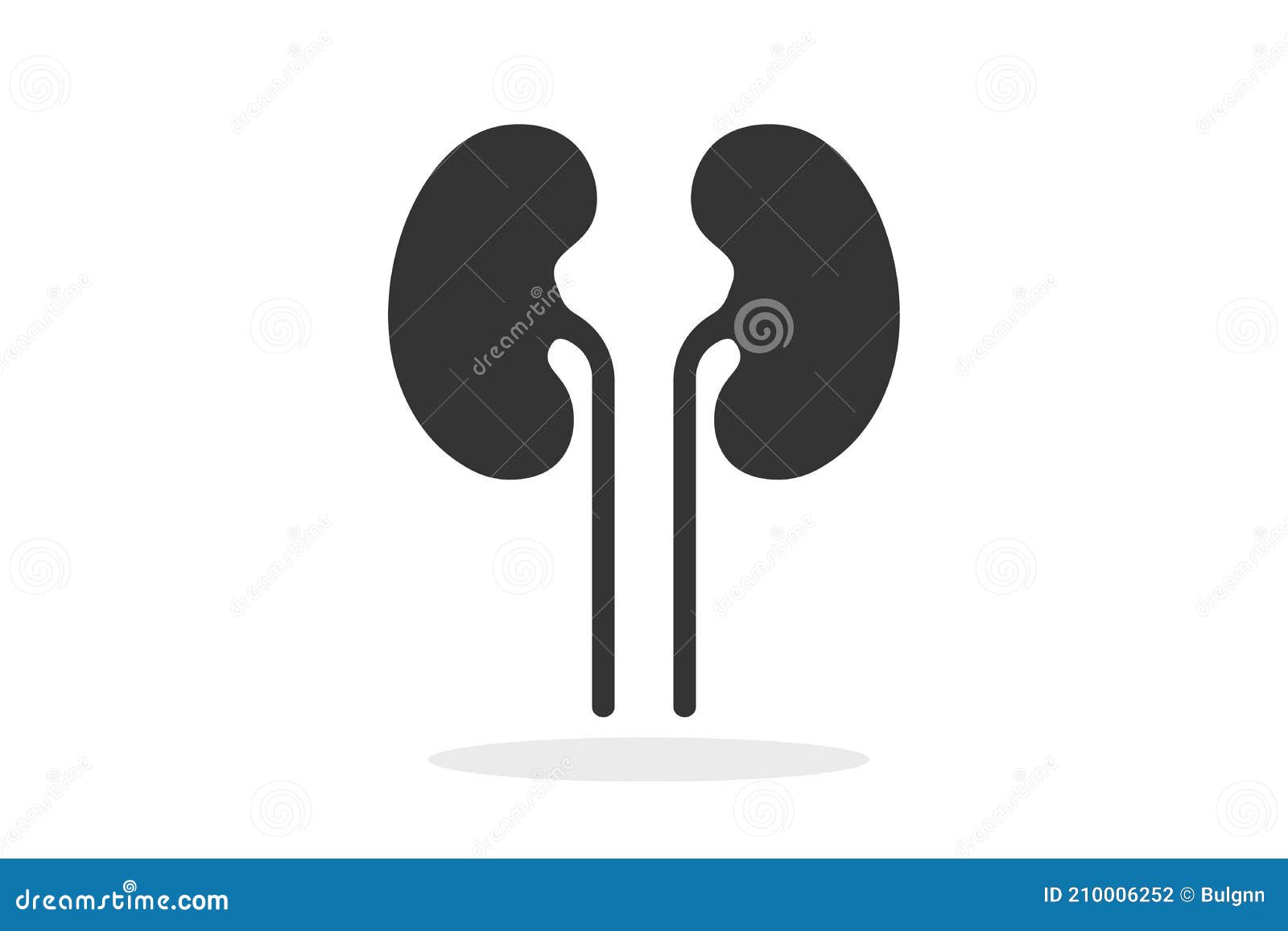 Kidney. Simple Icon. Flat Style Element for Graphic Design. Vector ...