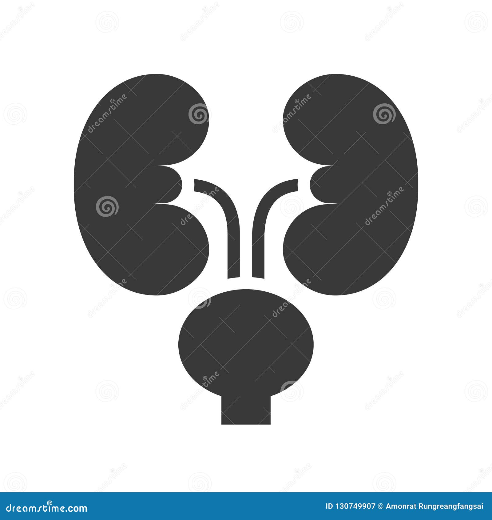 Kidney And Urinary Stones Anatomy Pain Male Internal Organ Painful ...