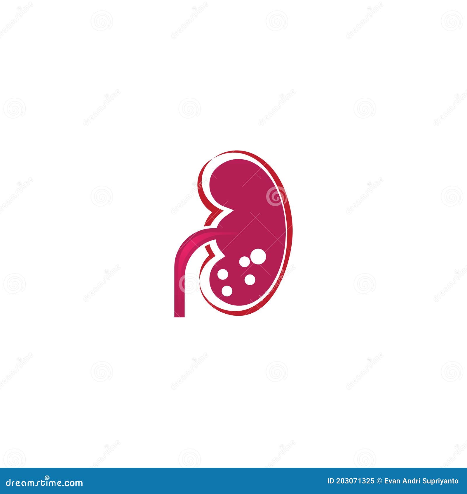Kidney Vector Illusrtation Design Logo Template Stock Vector ...