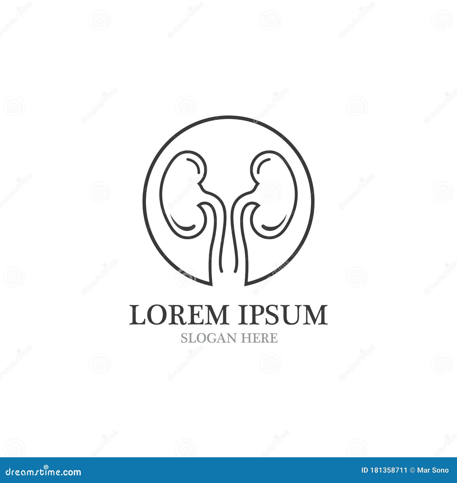 Kidney Vector Design. Realistic Kidney Anatomy Pictures Vector Design ...