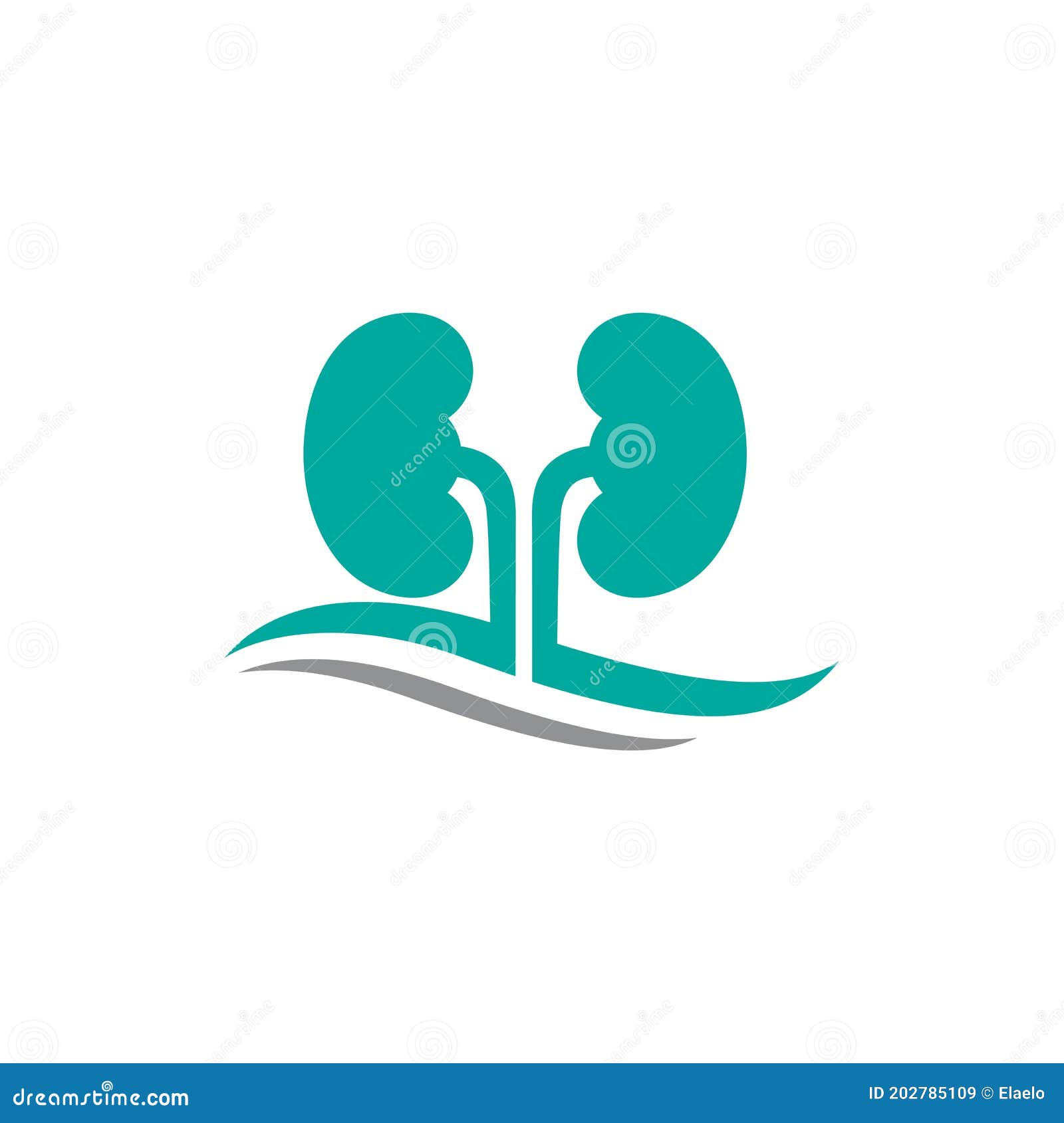 Kidney Vector Design. Realistic Kidney Anatomy Pictures Vector Design ...