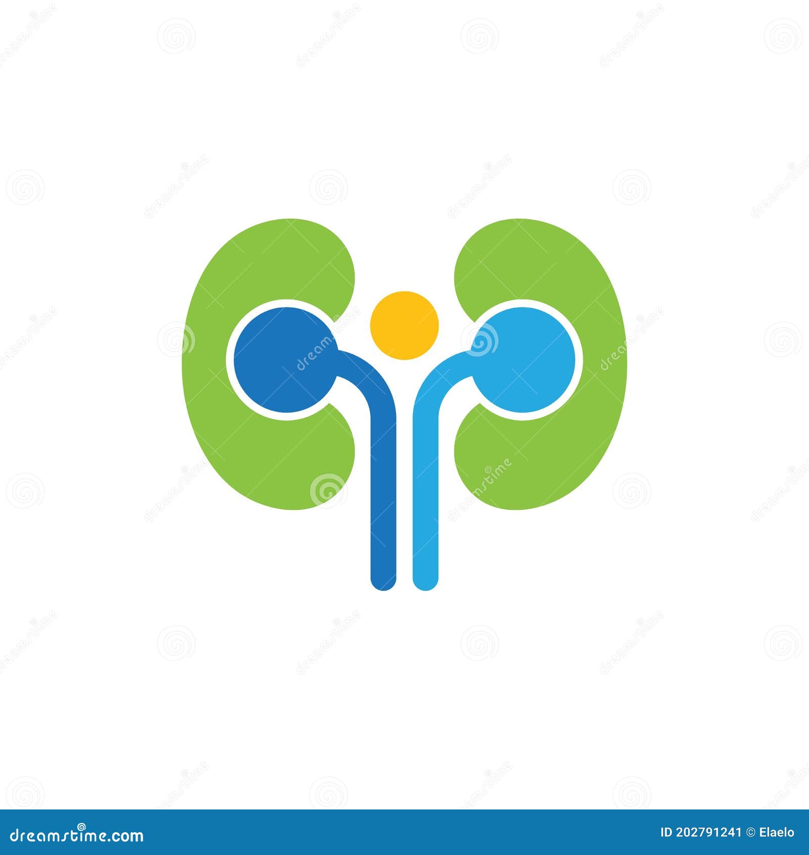 Kidney vector illusrtation stock vector. Illustration of care - 202791241