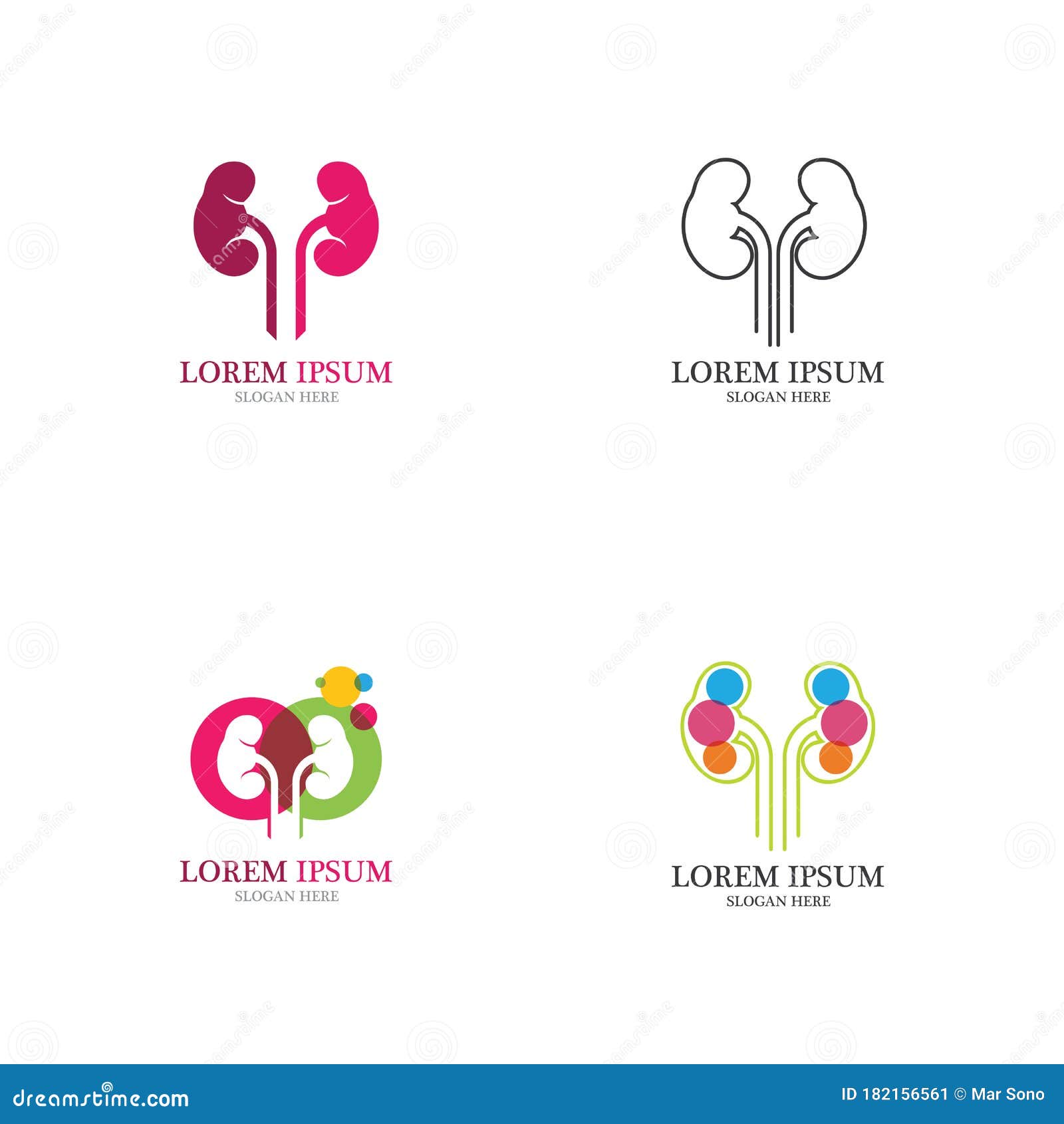 Kidney vector illusrtation stock vector. Illustration of line - 182156561