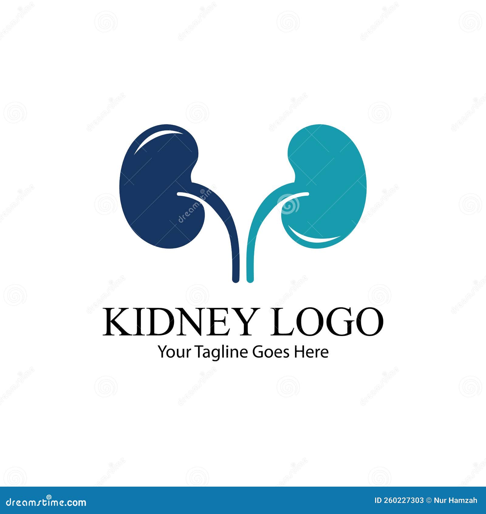 Kidney vector illusrtation stock vector. Illustration of flat - 260227303