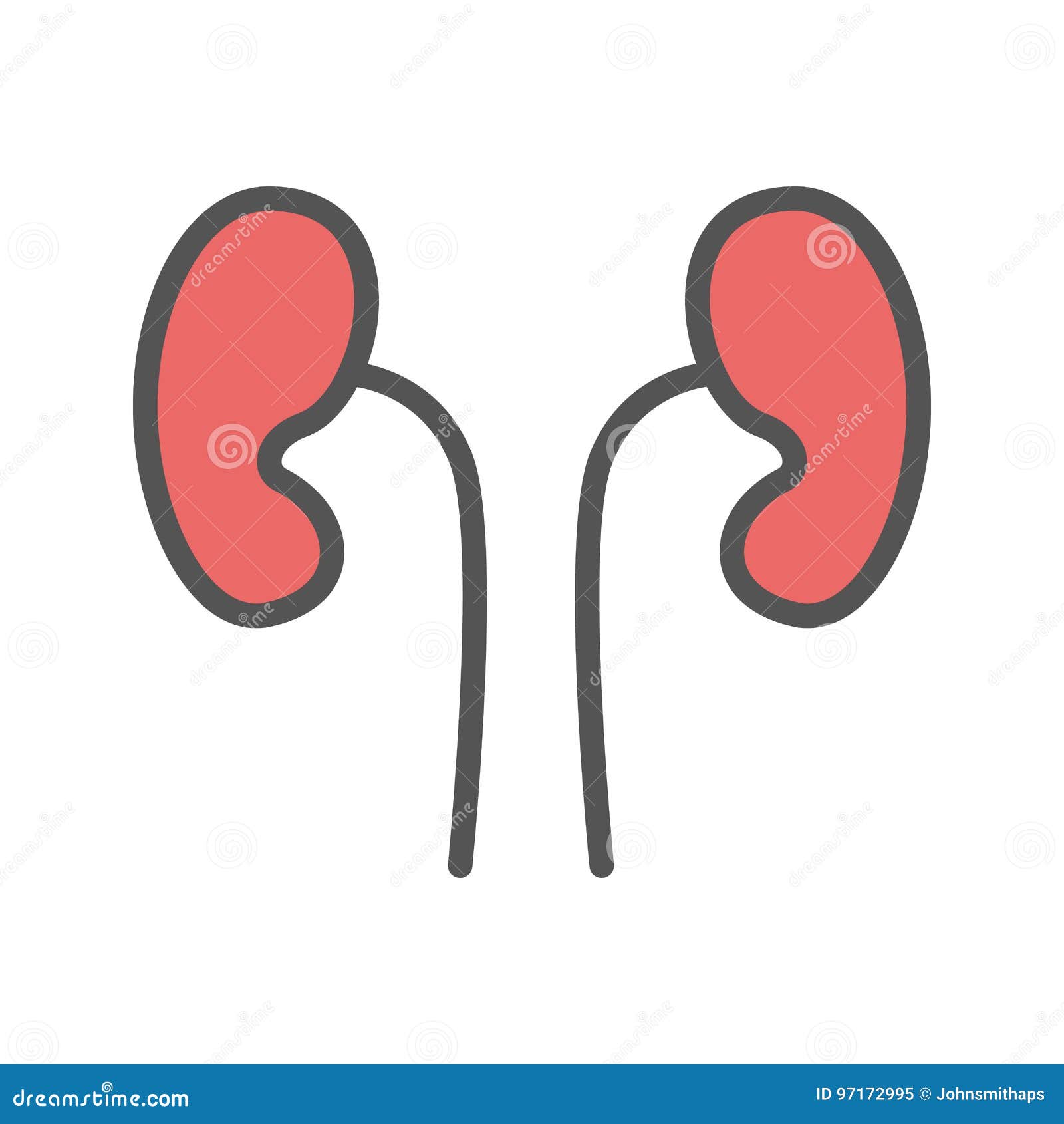 Kidneys Color Icon. Isolated Vector Illustration on White Background ...