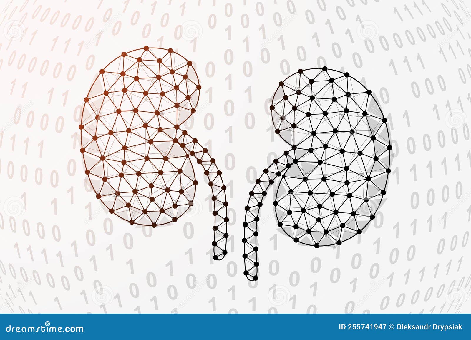 Kidneys 3d Polygonal Symbol For Website Template. Low Poly Internal ...