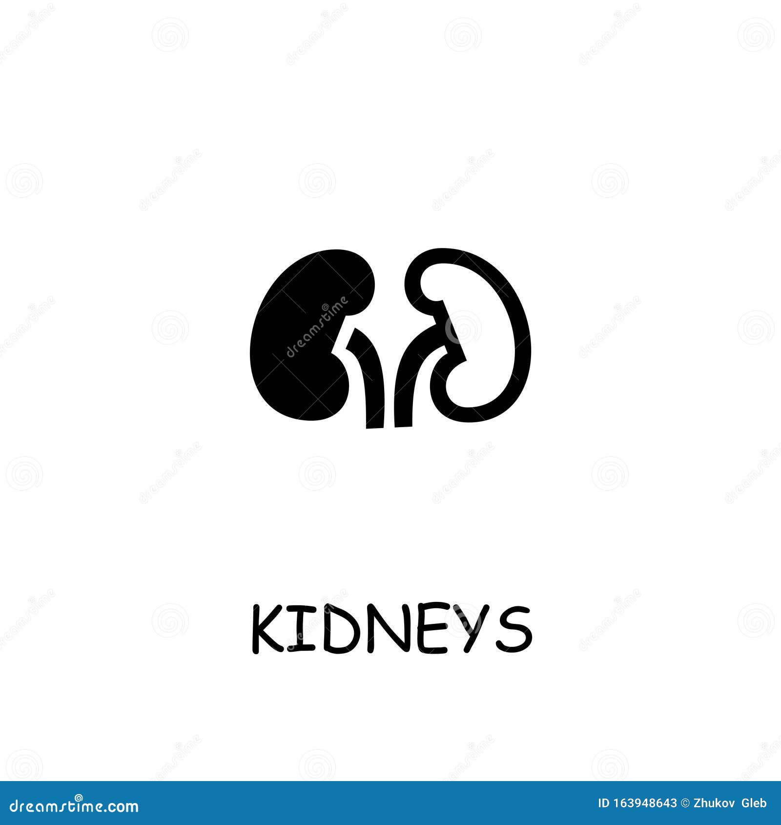 Kidneys Flat Line Icon. Vector Thin Pictogram Of Human Internal Organ ...
