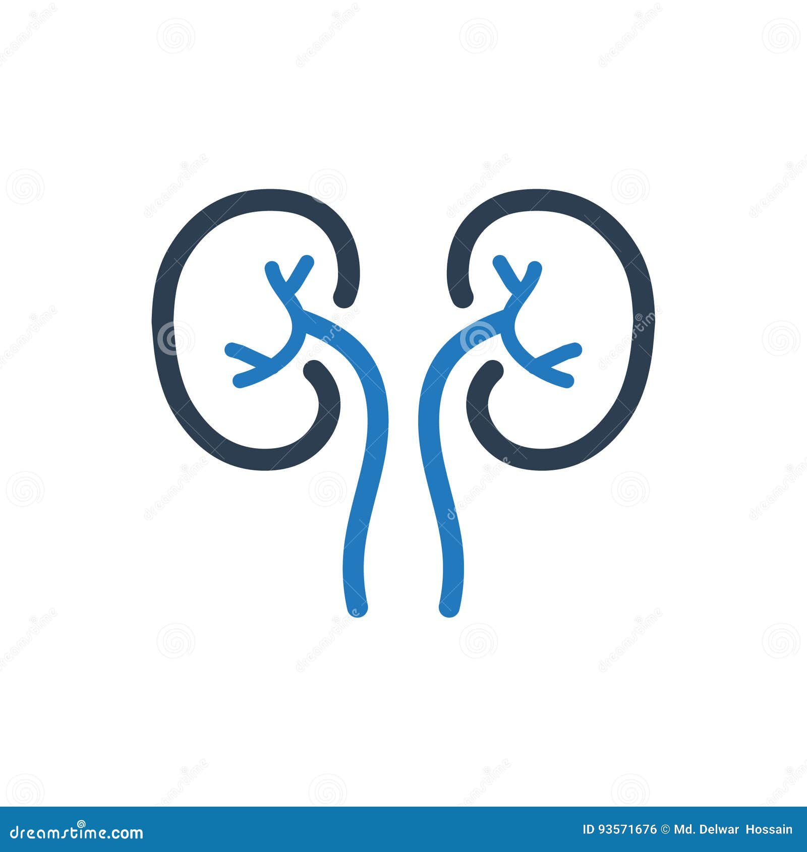 Kidneys Icon Vector Illustration | CartoonDealer.com #93571676