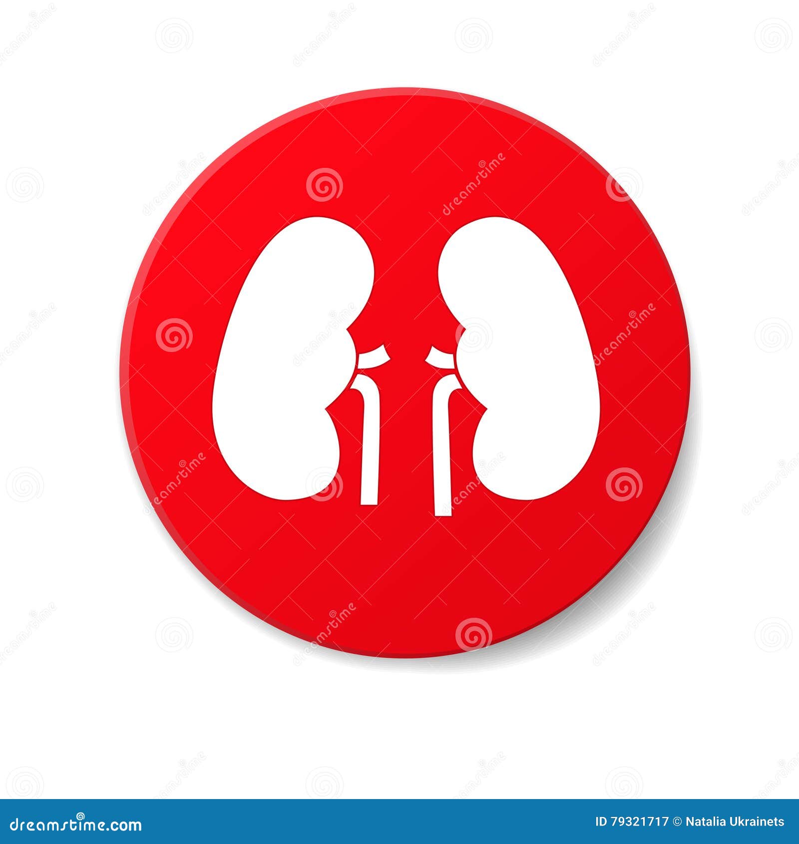Kidneys Icon Cartoon Vector | CartoonDealer.com #79321717