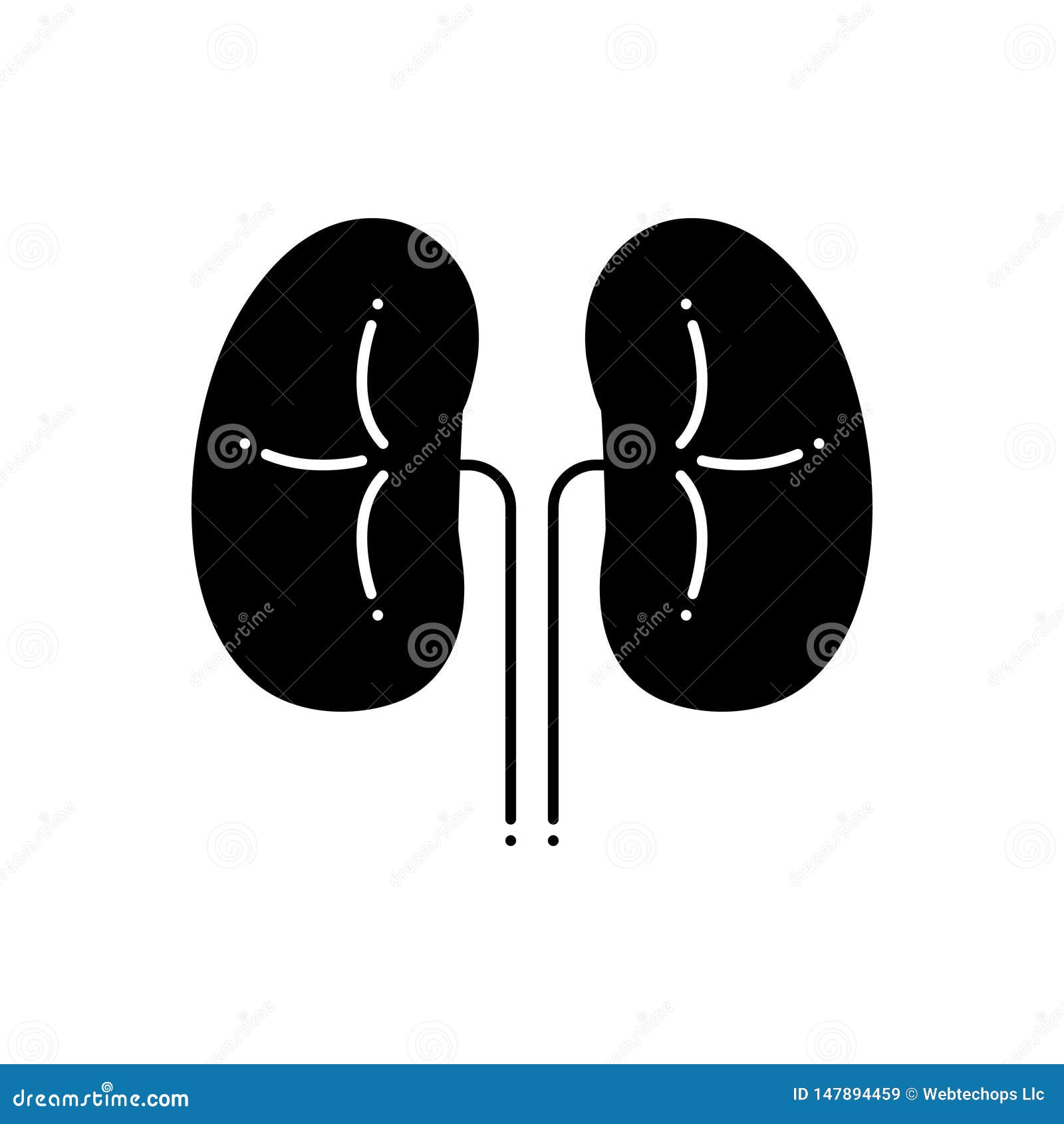Mix Icon For Kidneys, Urology And Anatomy Vector Illustration ...