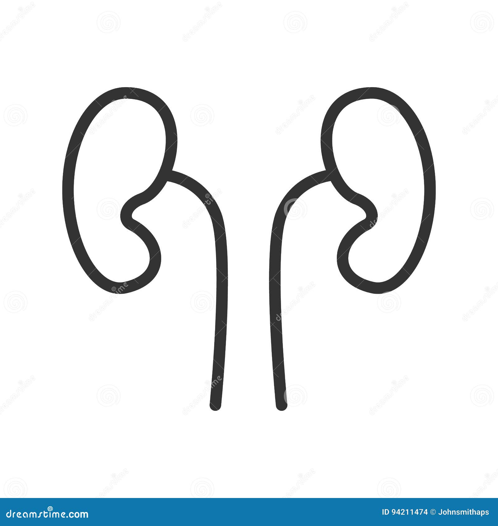 Kidneys Linear Icon. Thin Line Illustration. Vector Isolated Outline ...