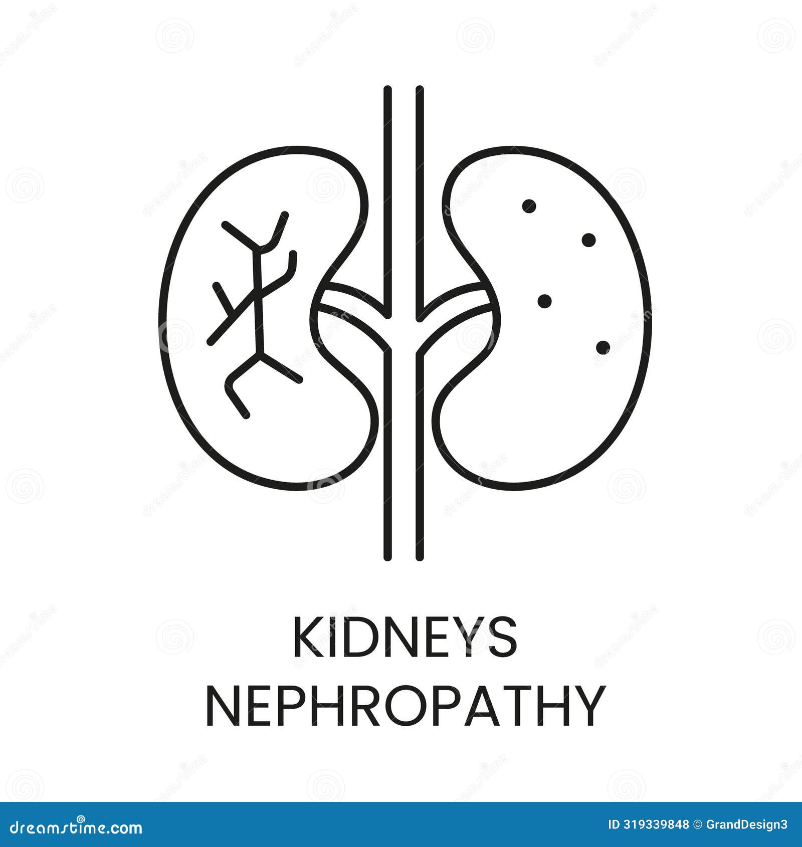 Kidneys, Nephropathy Line Vector Icon with Editable Stroke Stock Vector ...
