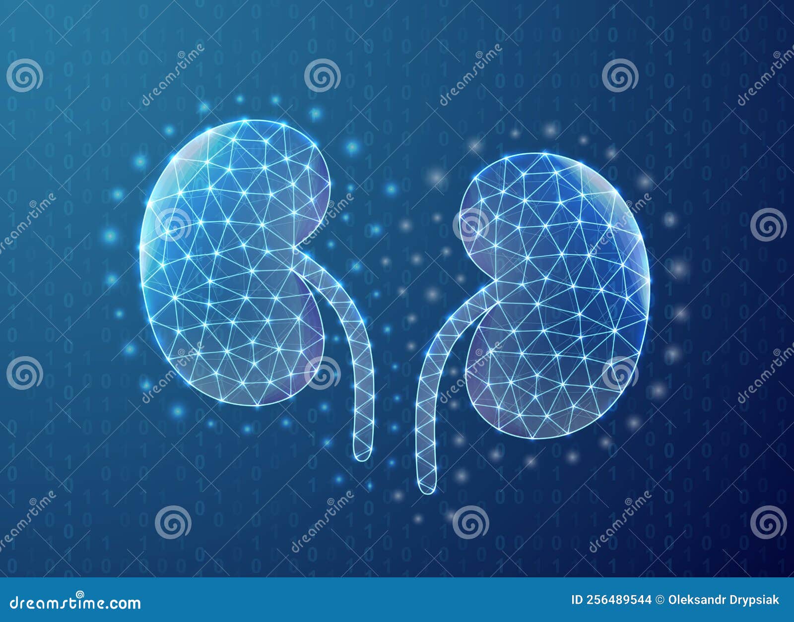 Kidneys Polygonal Symbol with Binary Code Background. Urinary Concept ...