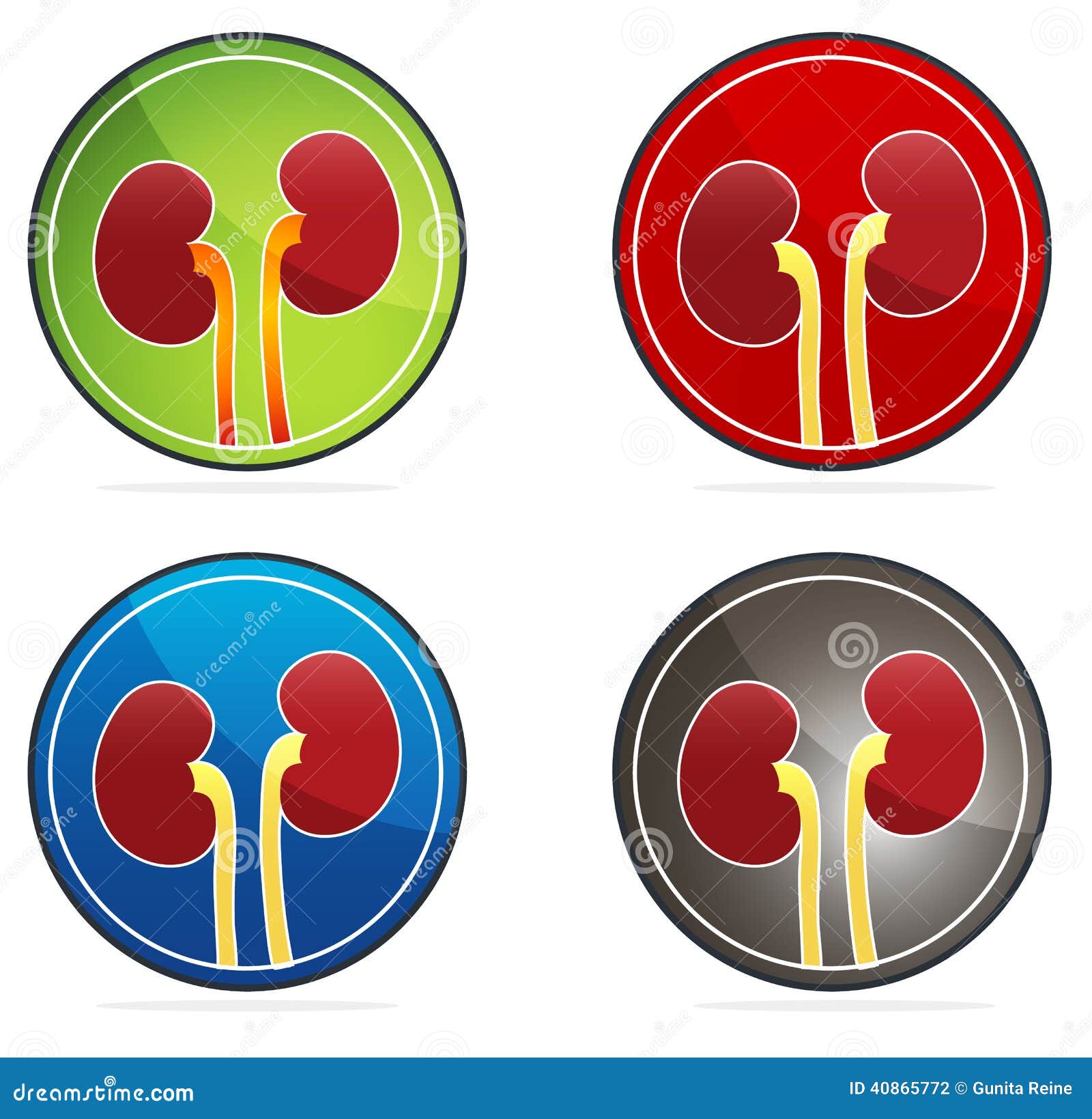 Kidneys round icon set stock vector. Illustration of diagnosis - 40865772