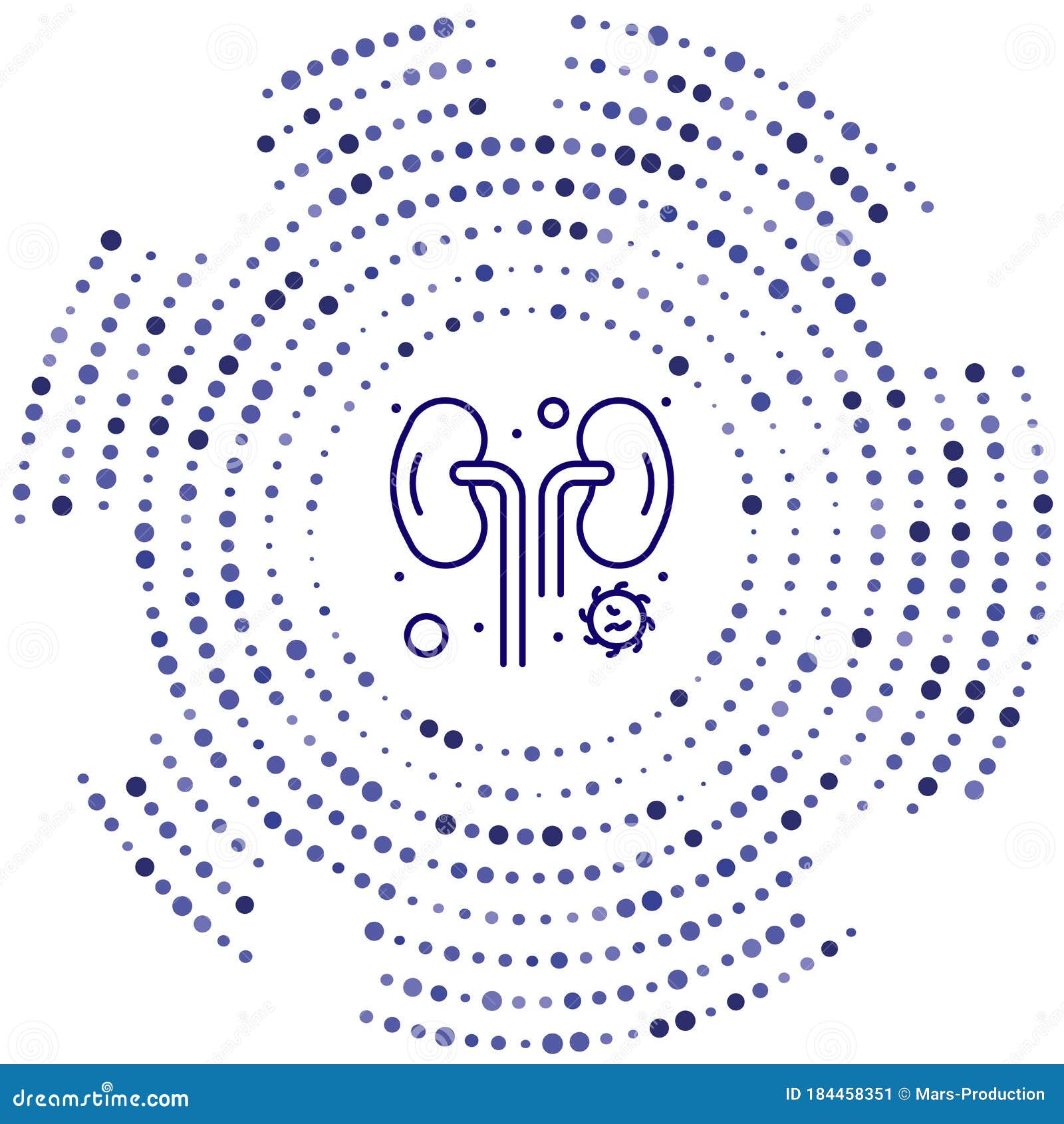 Kidneys Vector Icon. Kidneys Editable Stroke. Kidneys Linear Symbol For ...