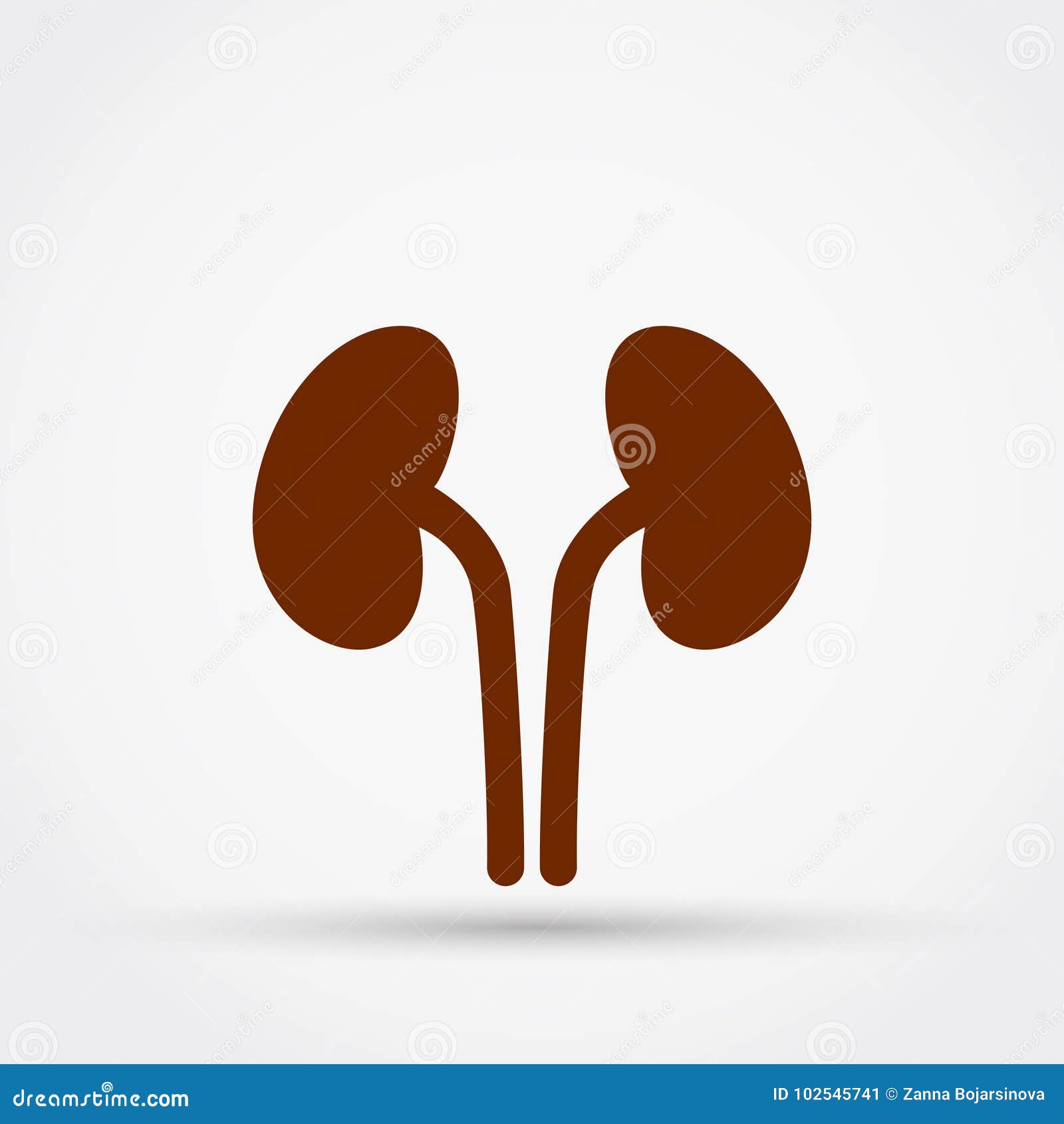 Kidneys vector icon. stock vector. Illustration of disease - 102545741