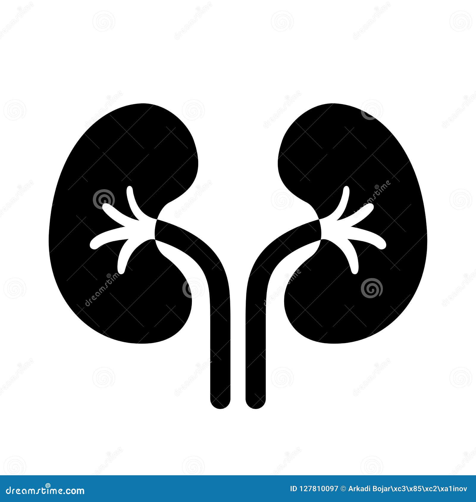 Kidneys vector pictogram stock vector. Illustration of kidnays - 127810097