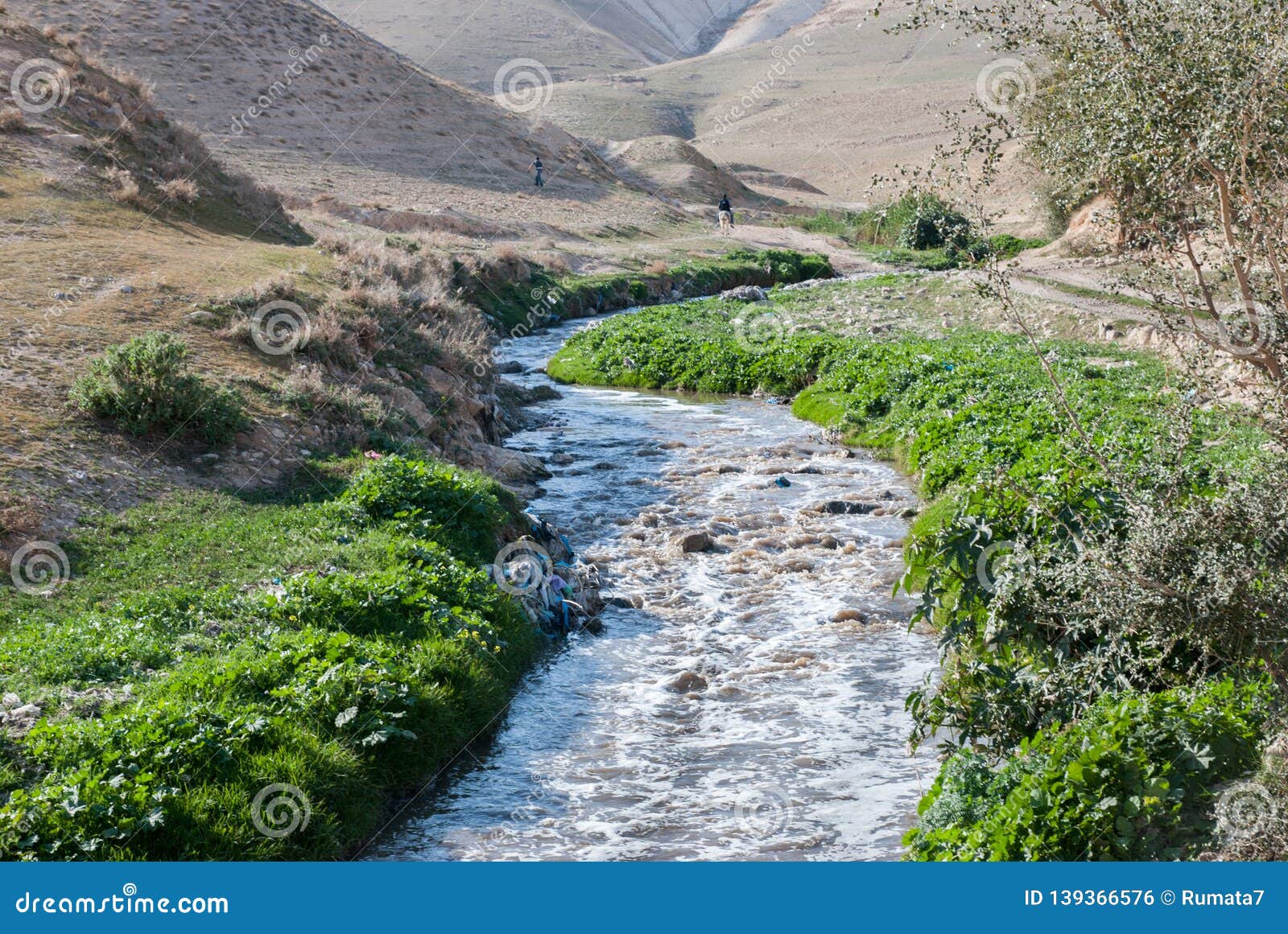 Kidron River in Judean Desert Stock Photo - Image of sahara, green ...