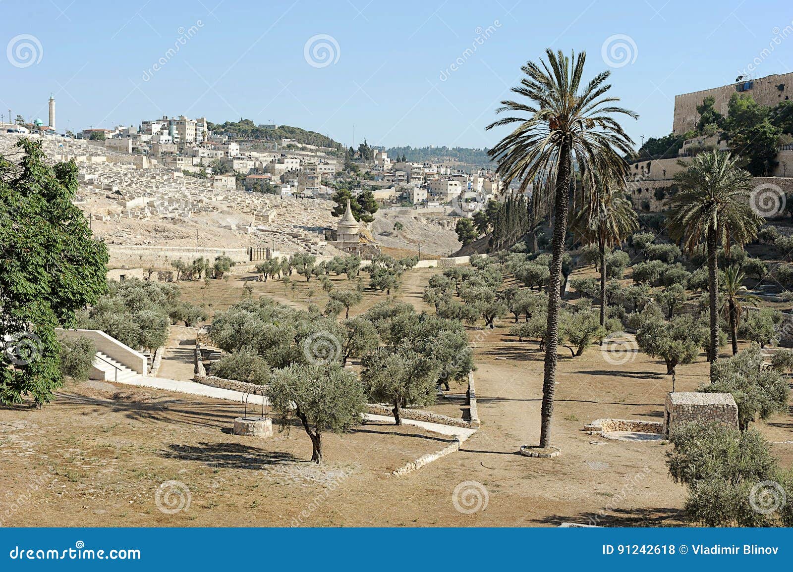 Kidron Valley Ed Il Monte Degli Ulivi Fotografia Stock - Immagine di ...