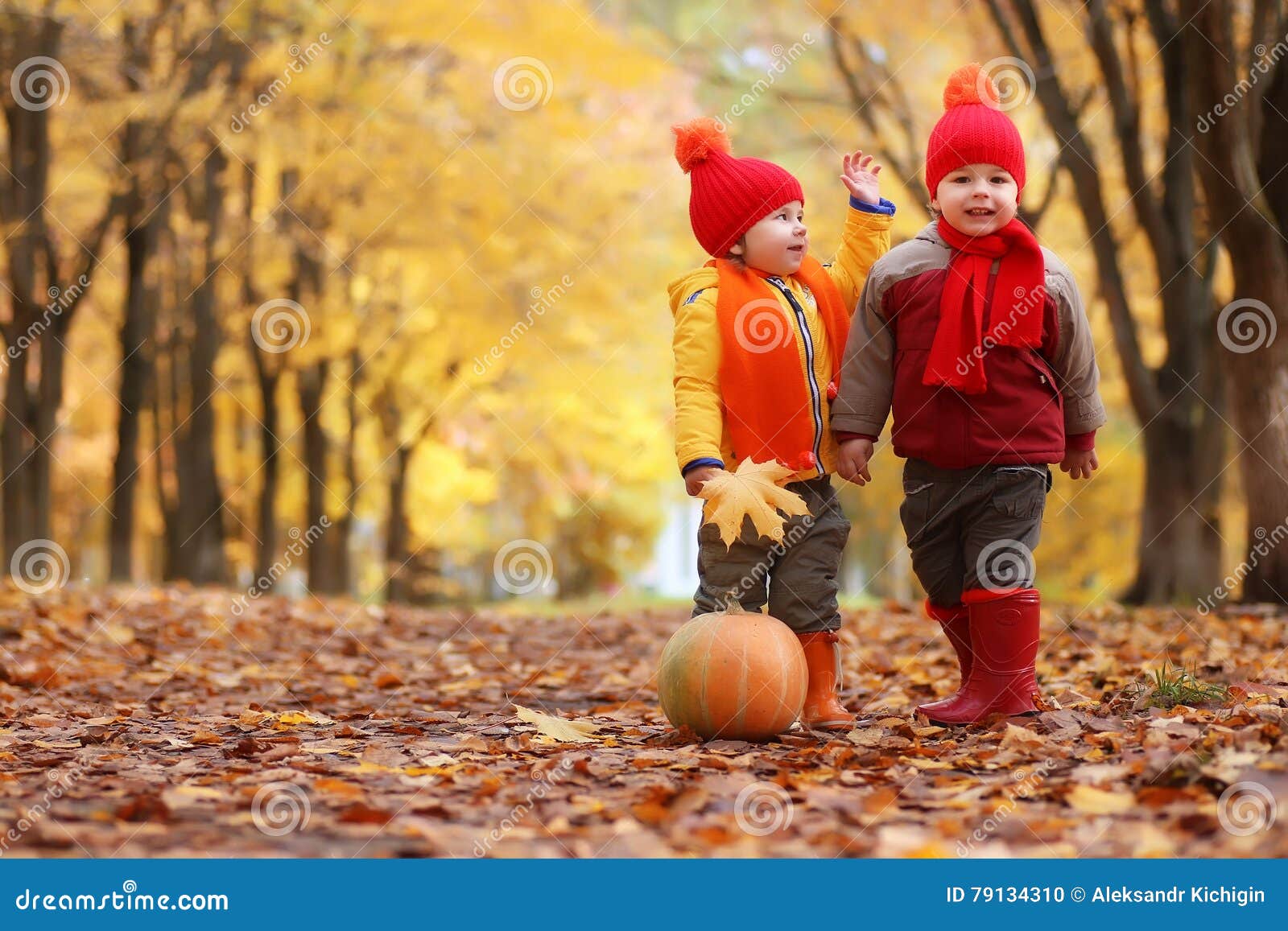 Kids in Autumn Park with Pumpkin Stock Photo - Image of beautiful, leaf ...