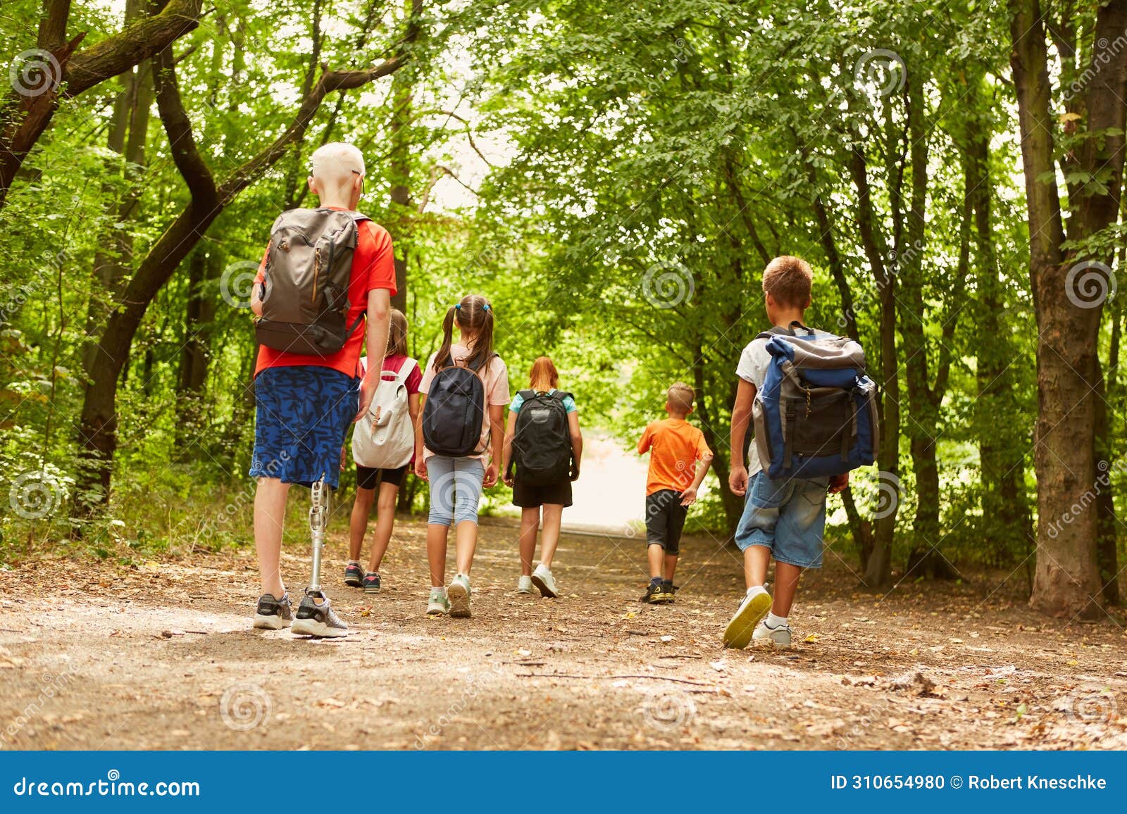 Kids Exploring Forest while Waking on Path Stock Photo - Image of ...