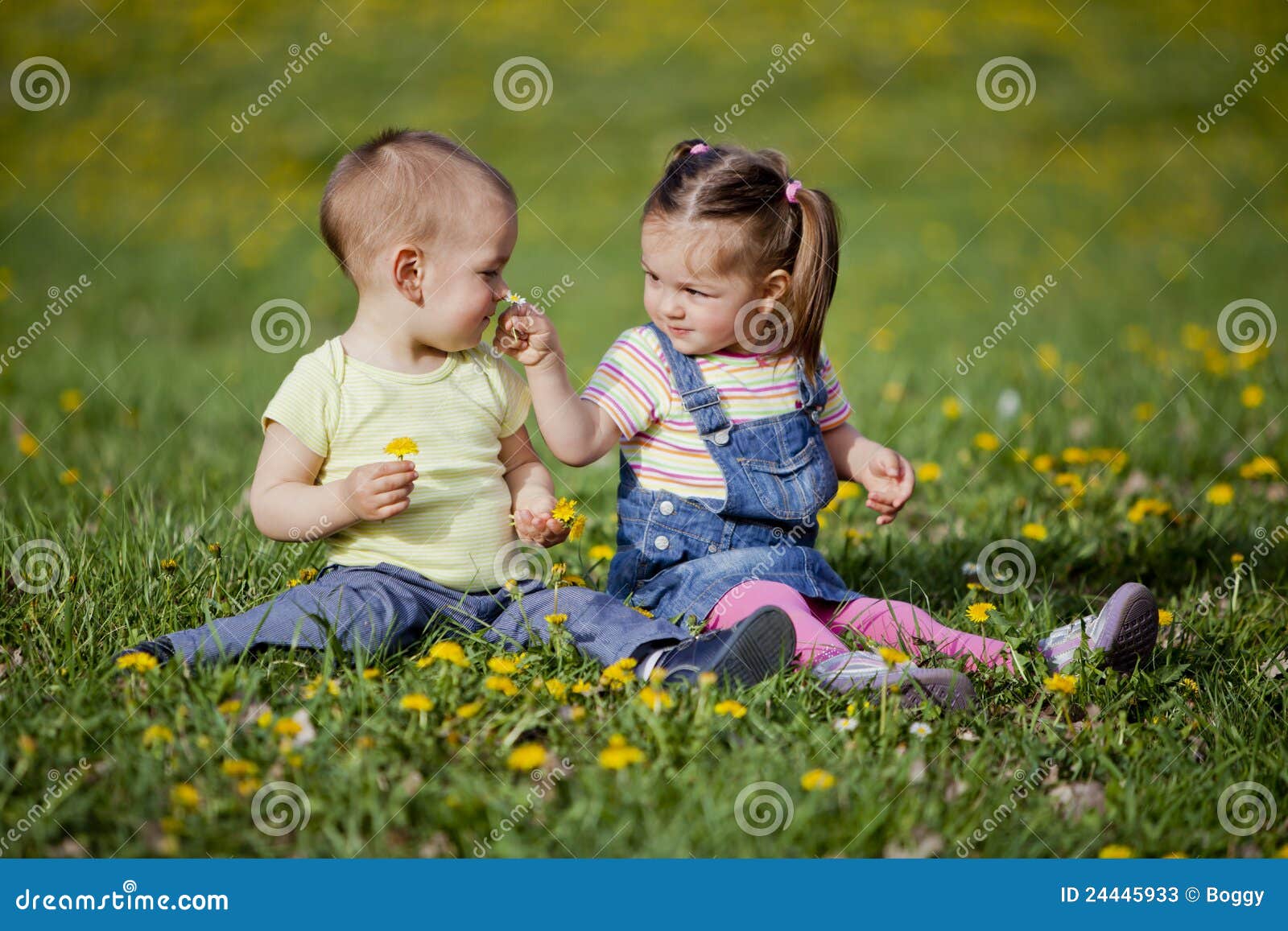 Kids in the field stock image. Image of beautiful, grass - 24445933