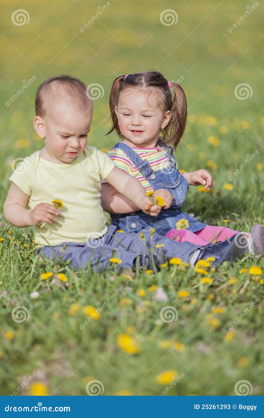 Kids in the field stock image. Image of lawn, nature - 25261293