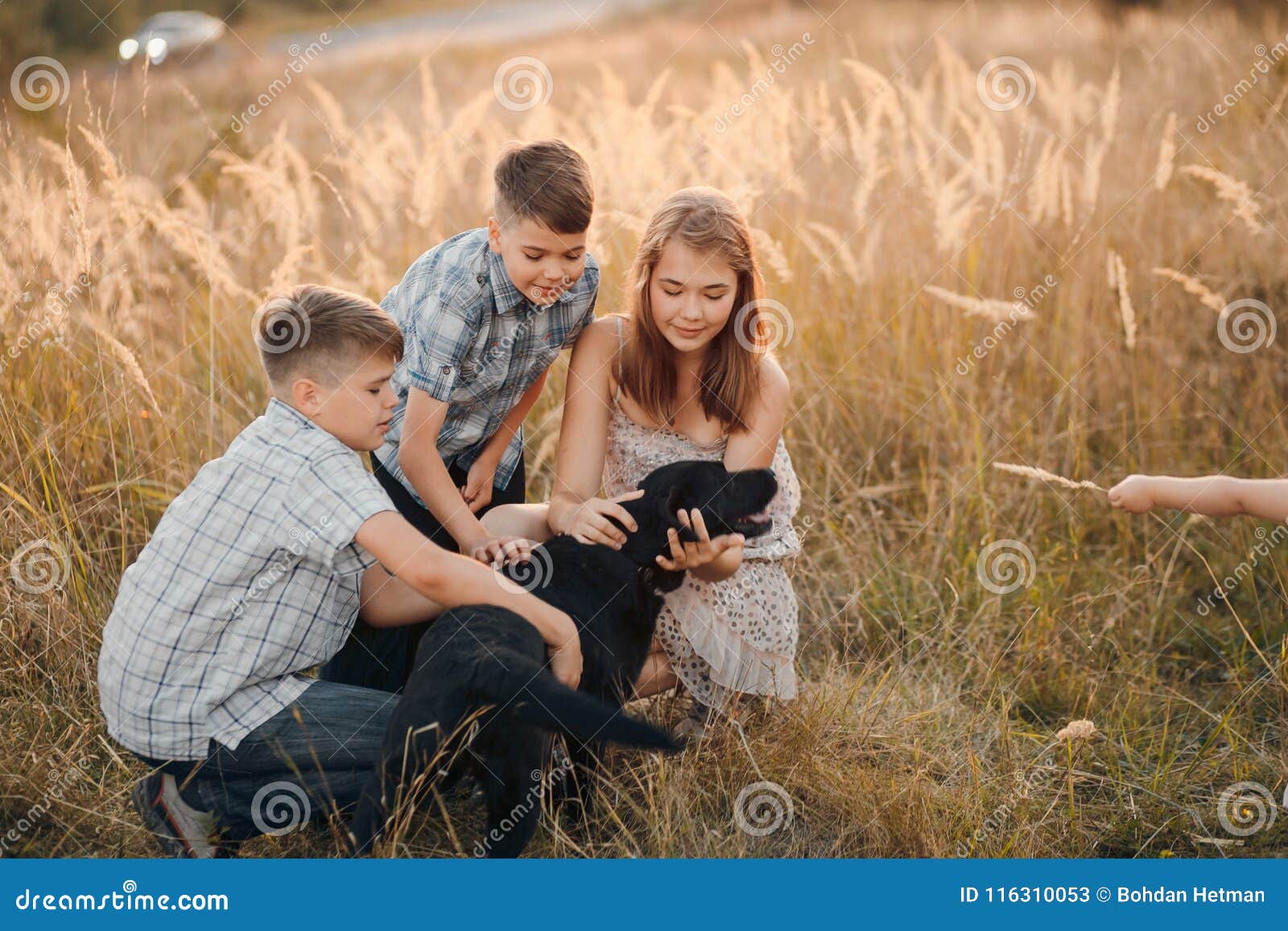 Kids in a field stock image. Image of lifestyle, brothers - 116310053