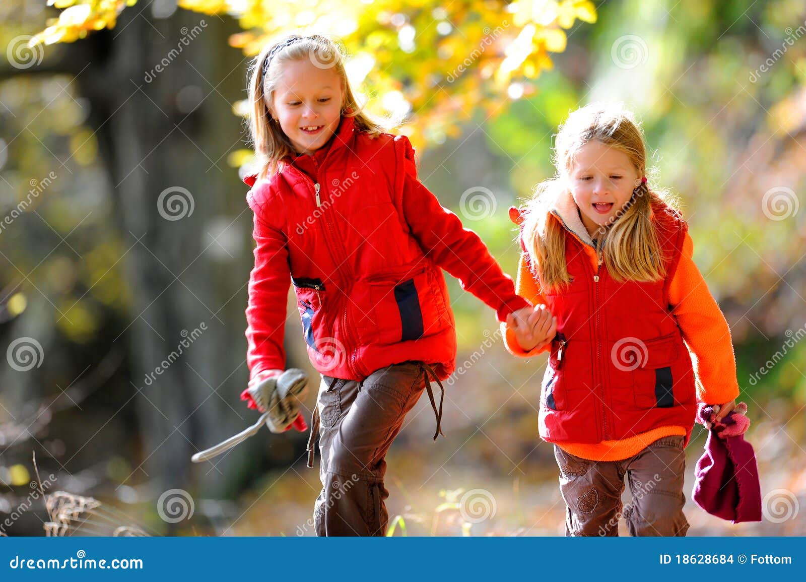 Kids in Forest stock photo. Image of outdoor, people - 18628684