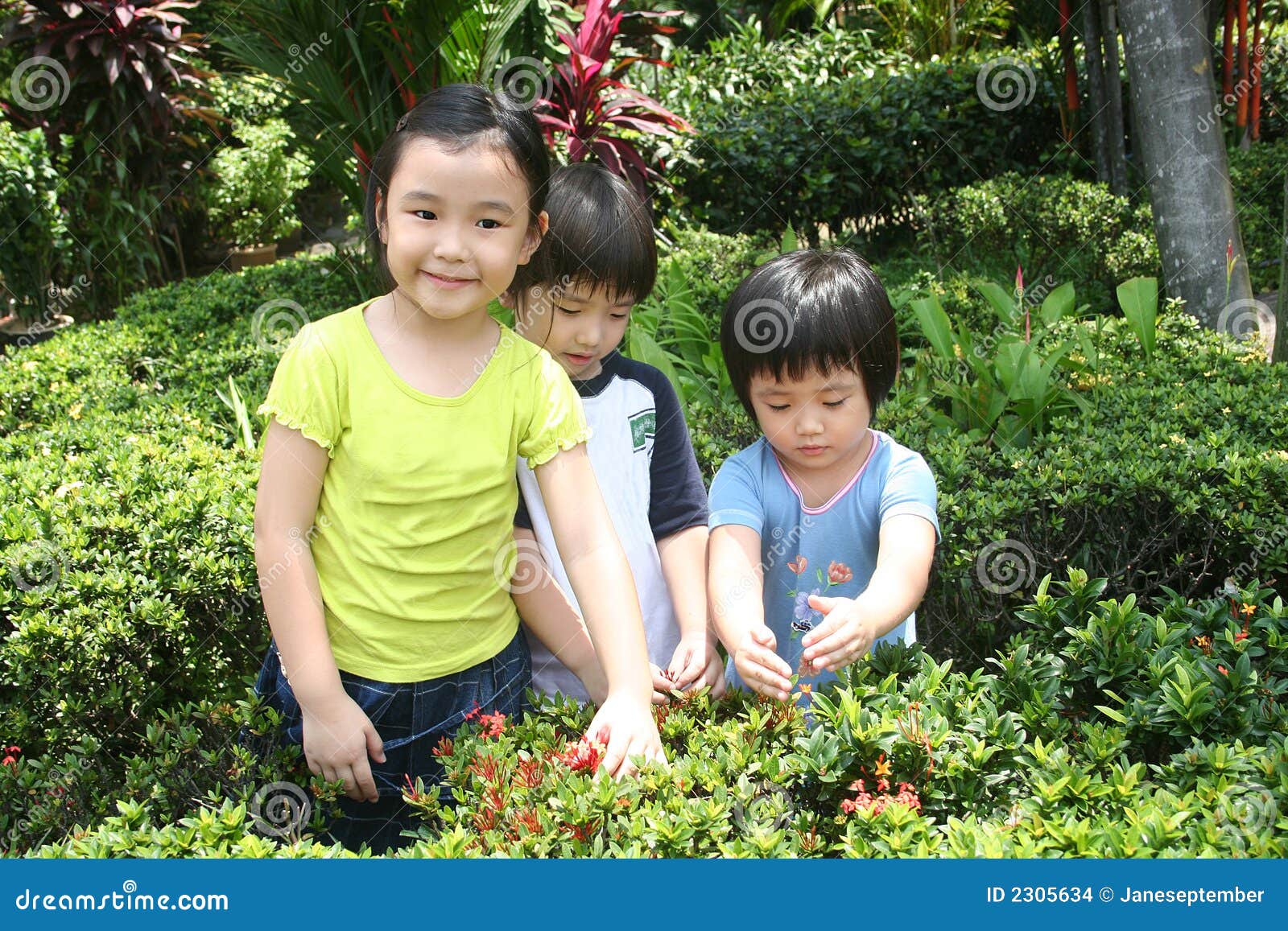 Kids at the garden stock photo. Image of outing, boys - 2305634