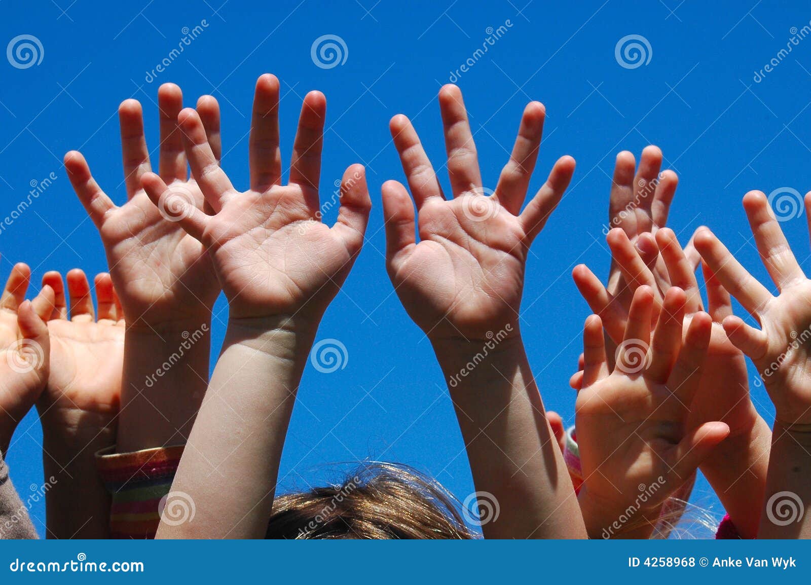 Kids hands stock photo. Image of future, growth, active - 4258968