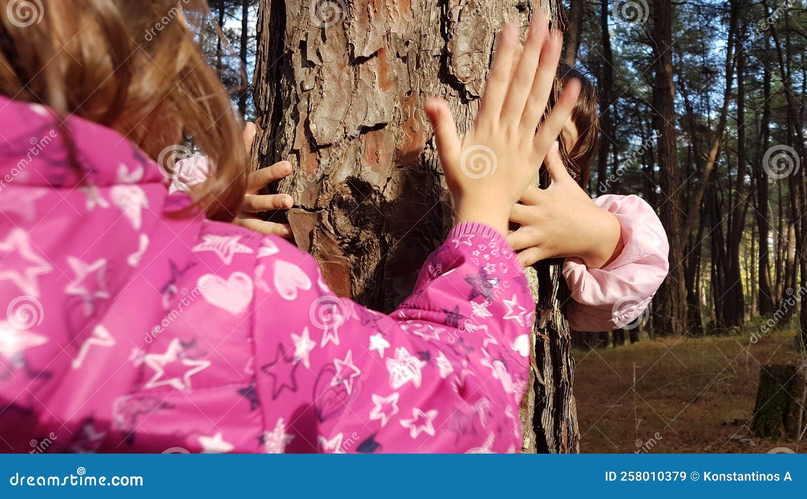Kids Hands Hugging Tree Trunk Stock Image - Image of pine, green: 258010379