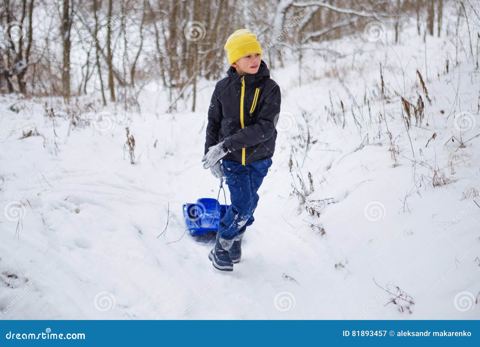 Kids Have Fun Sledding with Snow Slides Stock Image - Image of sleigh ...