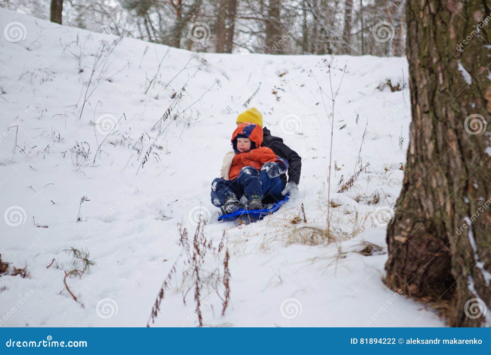 Kids Have Fun Sledding with Snow Slides Stock Photo - Image of snow ...