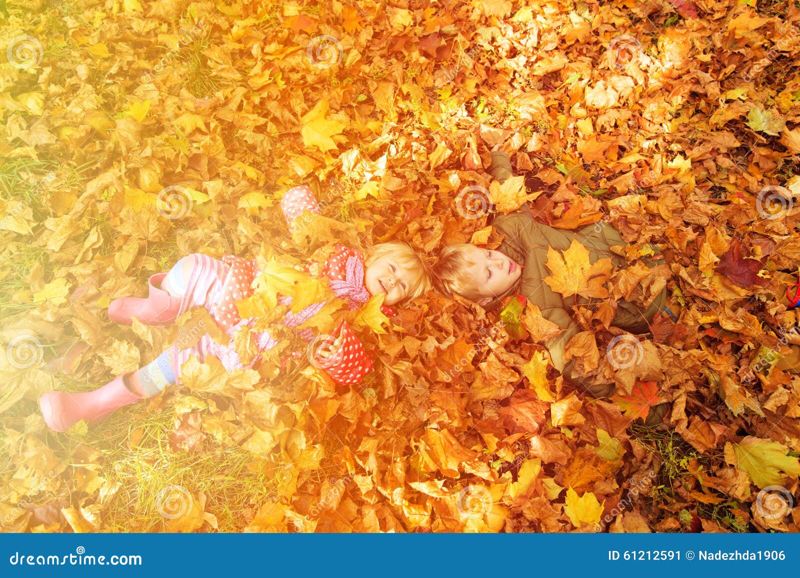 Kids Having Fun in Autumn Fall Leaves Stock Image - Image of leaves ...