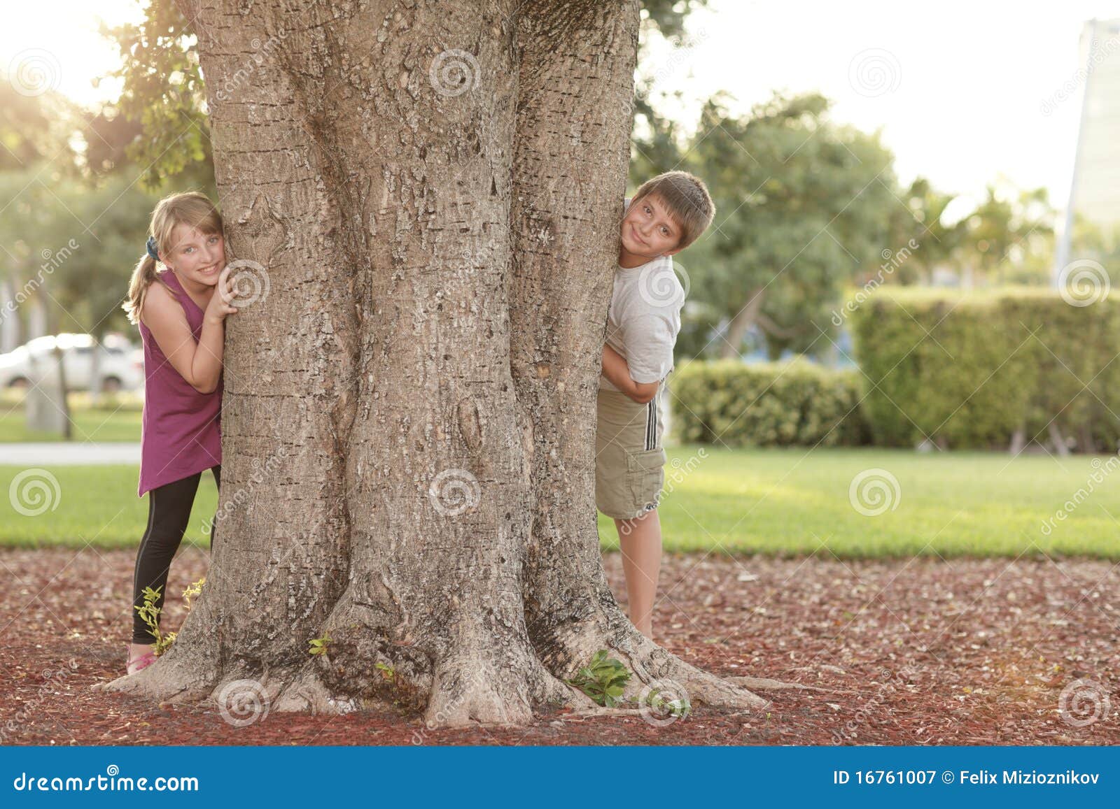 Kids hiding behind a tree stock image. Image of smiling - 16761007