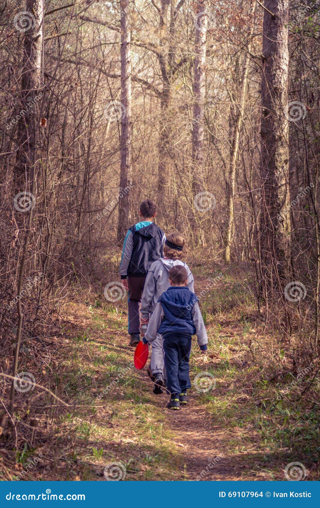 Kids Hiking through a Forest Stock Photo - Image of outdoors, activity ...