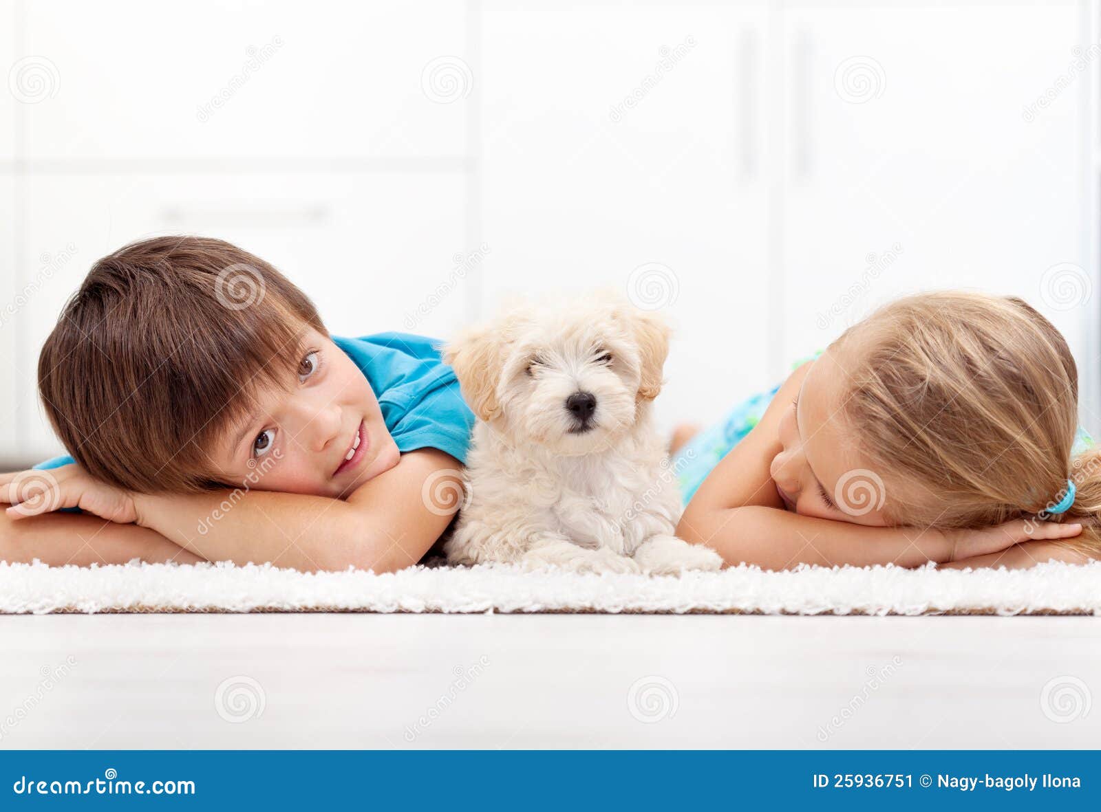 Kids at Home with Their New Pet Stock Image - Image of adorable, doggy ...