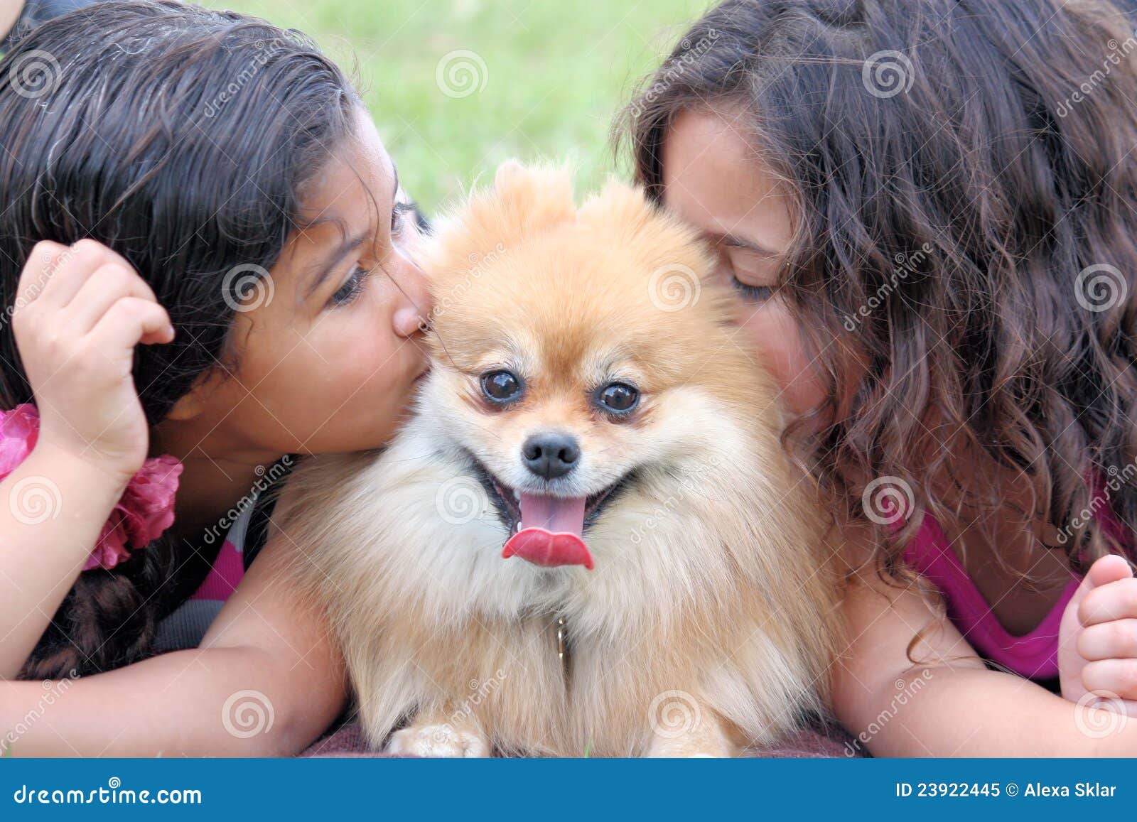 Kids kissing dog stock image. Image of pomeranian, girl - 23922445